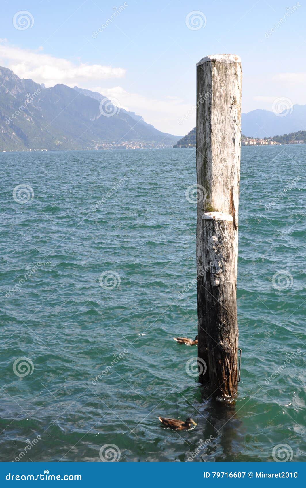 Wooden pole in the water stock image. Image of dock, single - 79716607