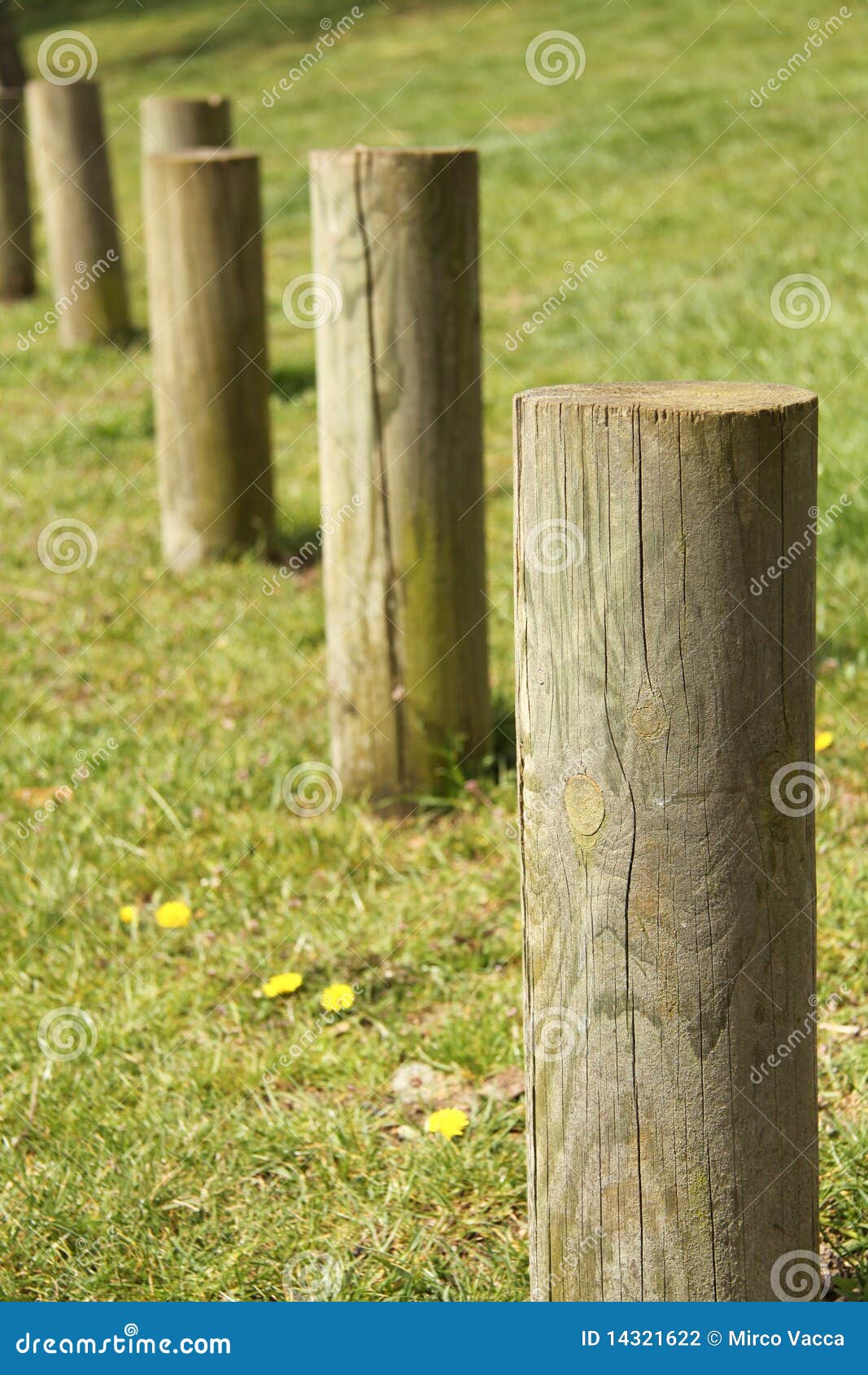 Wooden poles stock photo. Image of pole, cutout, wing - 14321622