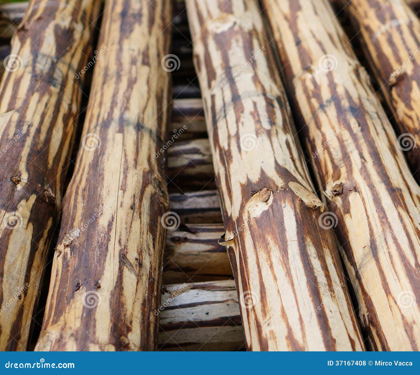 Wooden poles stock photo. Image of stacked, objects, group - 37167408