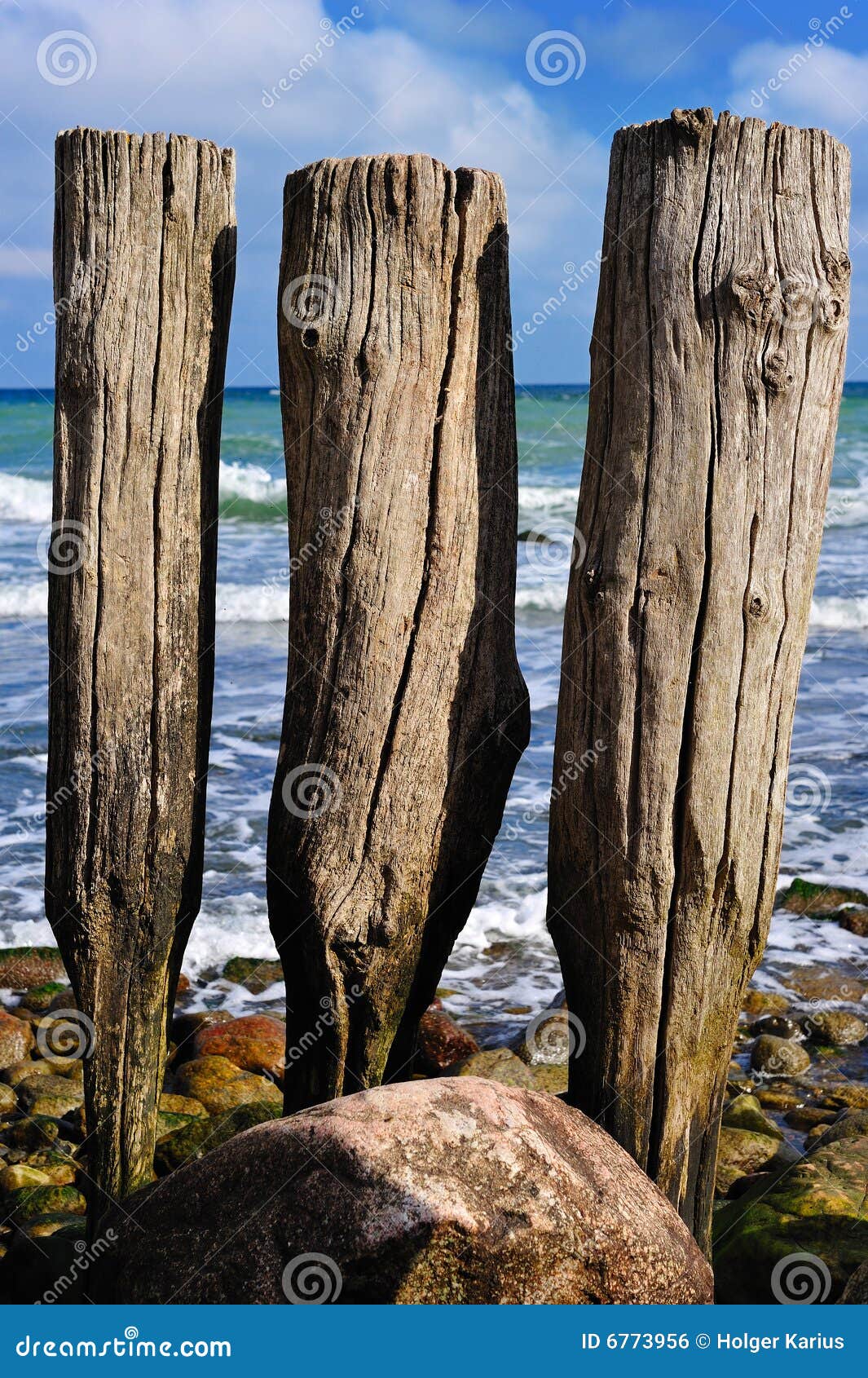 Wooden poles stock photo. Image of arkona, pole, baltic - 6773956