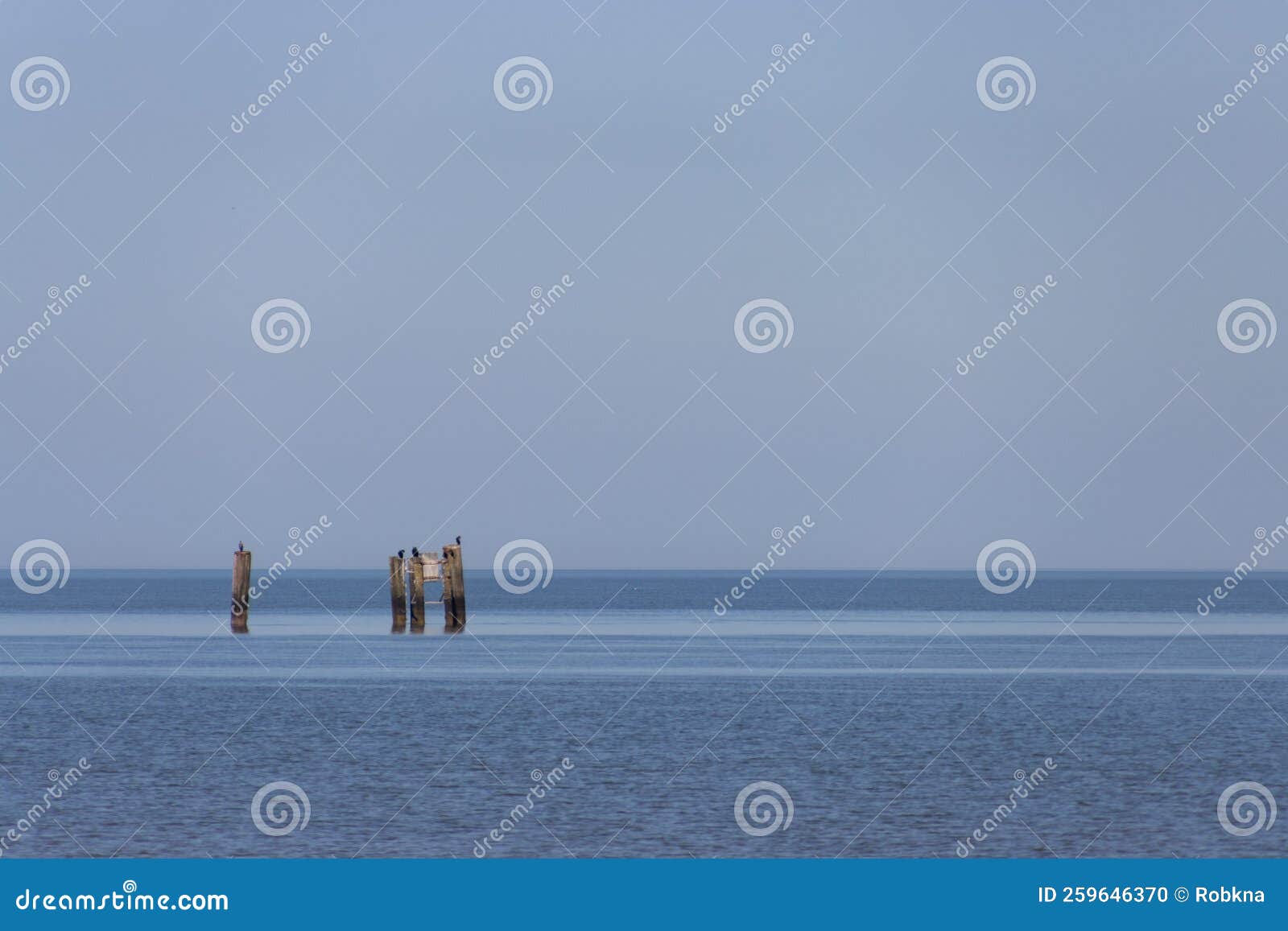 Wooden poles in the ocean stock photo. Image of scene - 259646370