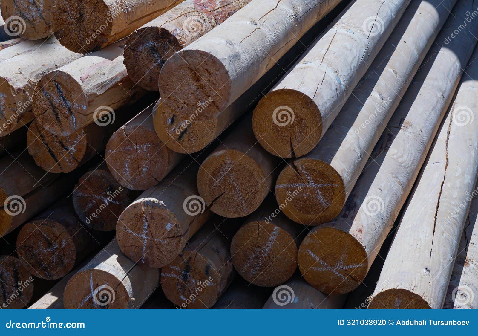 Wooden Poles Stand on the Ground Stock Photo - Image of pillar, texture ...