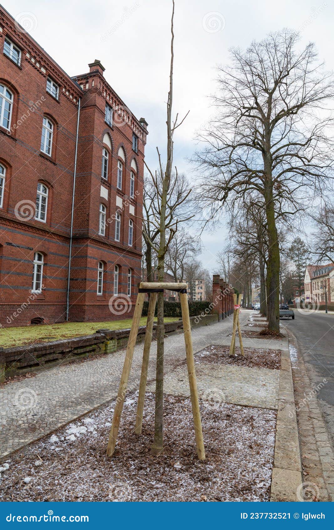 Wooden Post Base for Young Trees, Supported by Three Posts. Stock Image ...