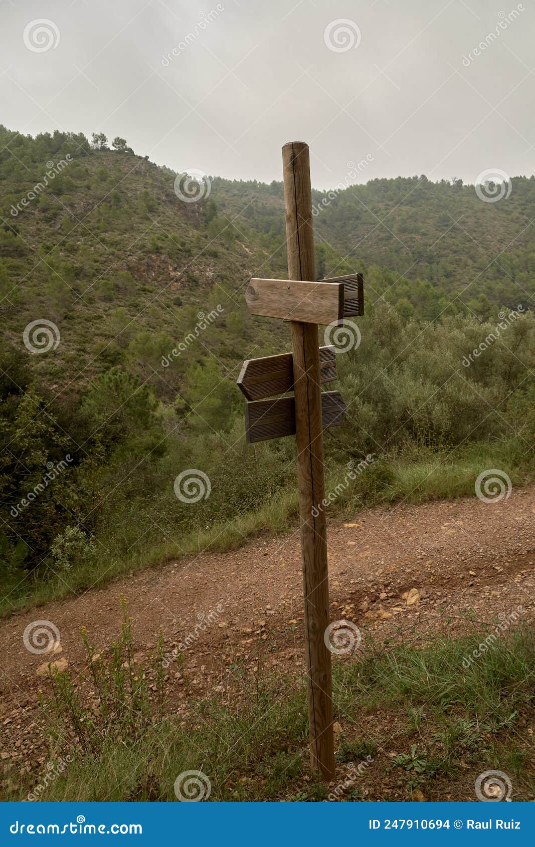 Wooden Post with Signposts in the Forest Stock Photo - Image of choice ...