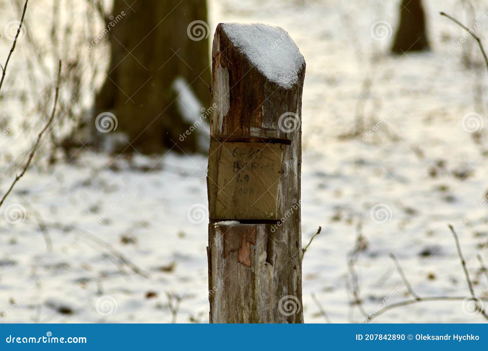 Wooden Post in Snowy Forest Stock Photo - Image of rustic, christmas ...