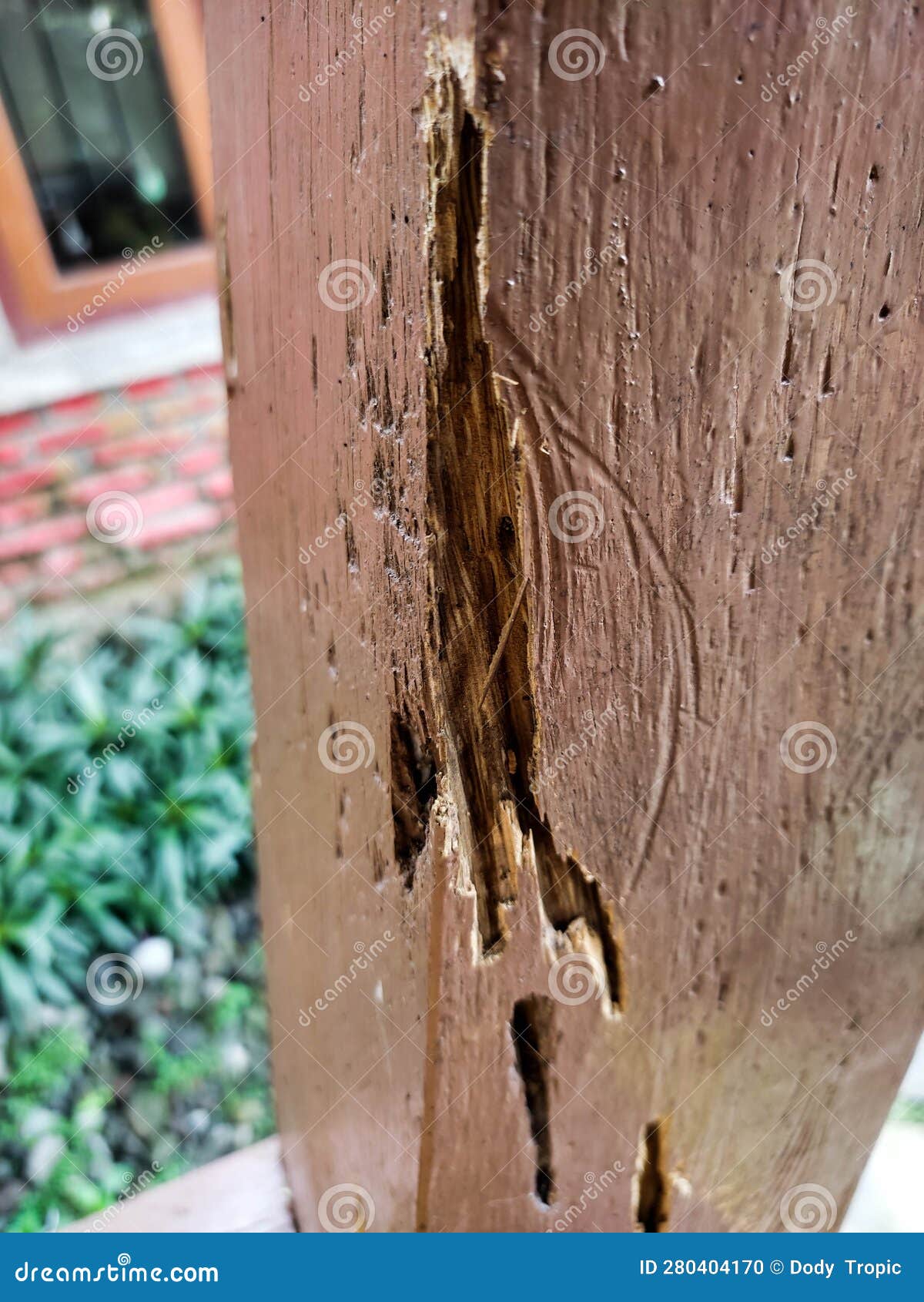 A Wooden Post with Textured Termite Holes Stock Photo - Image of danger ...