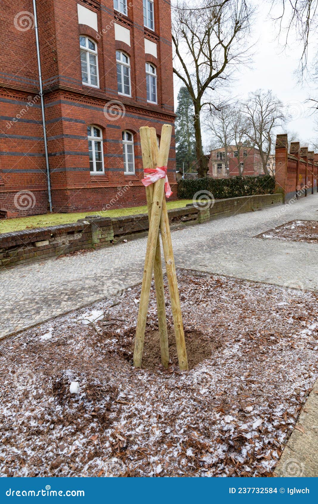 Wooden Post Tree Supports for Young Trees Supported by Three Posts ...