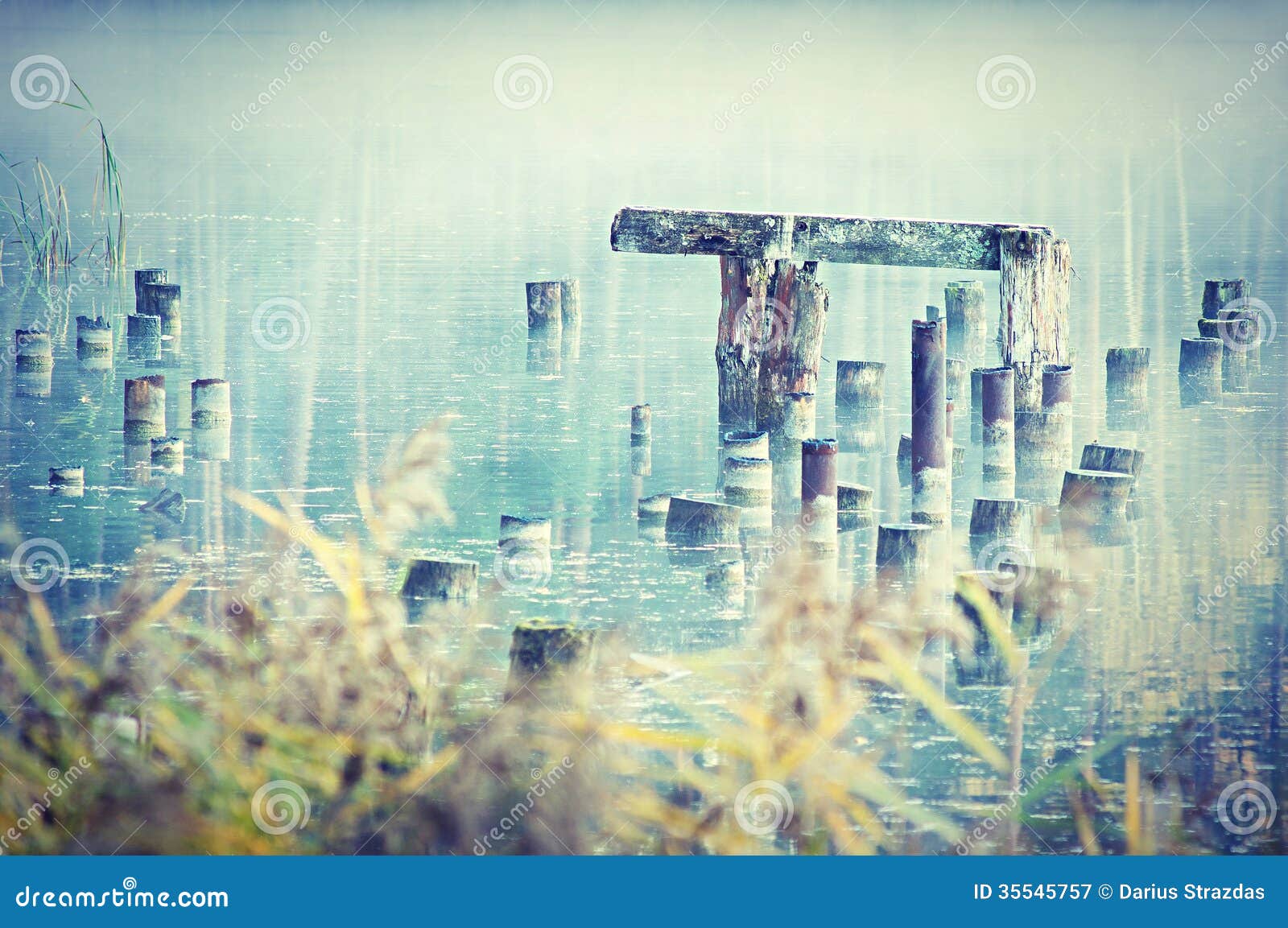 Wooden posts in lake stock image. Image of foreground - 35545757