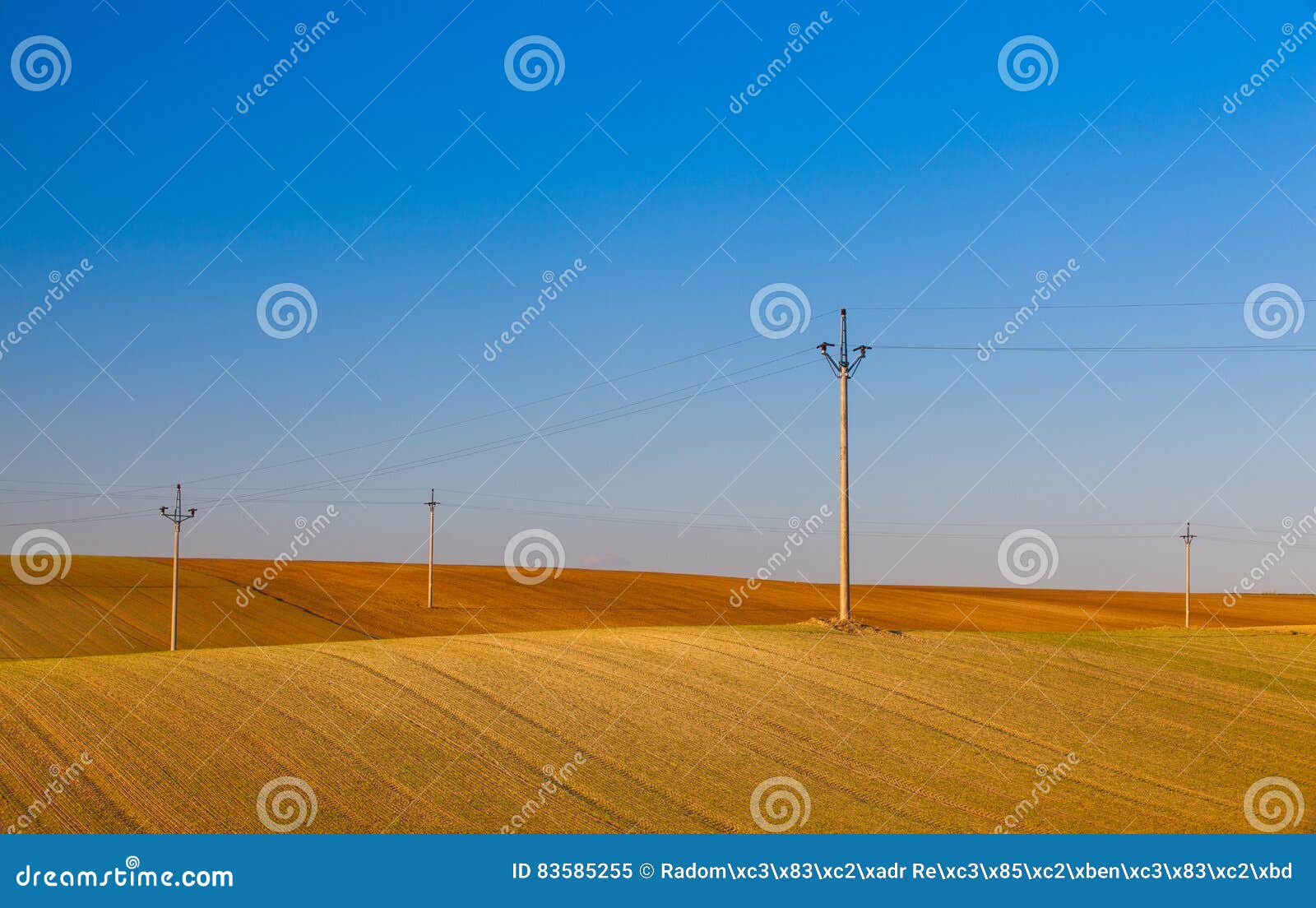 Wooden Power Poles on the Empty Field Stock Image - Image of pylon ...