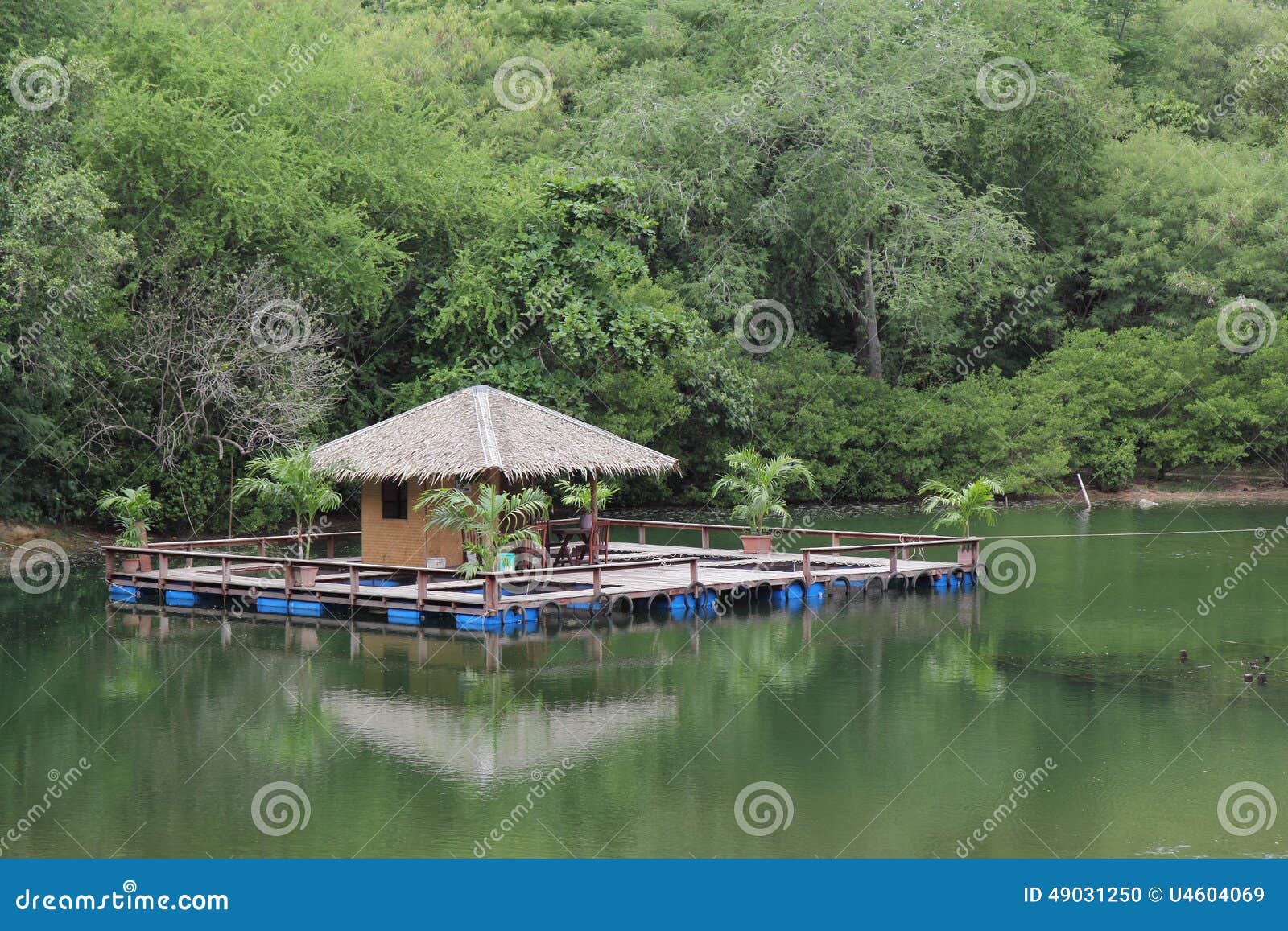 Wooden Raft on the River,Middle of the Forest Stock Photo - Image of ...
