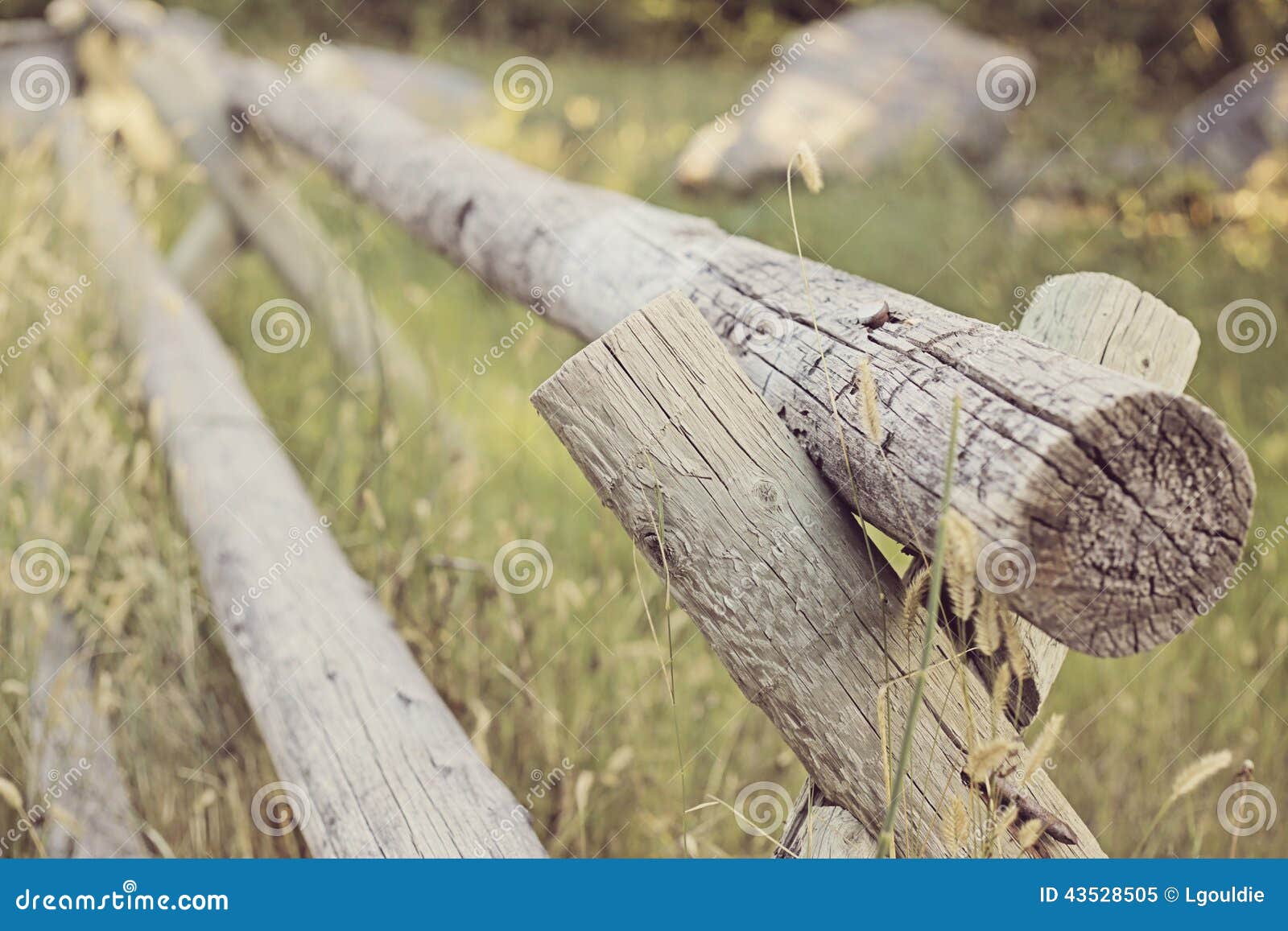 Wooden Rail Fence stock image. Image of field, meadow - 43528505