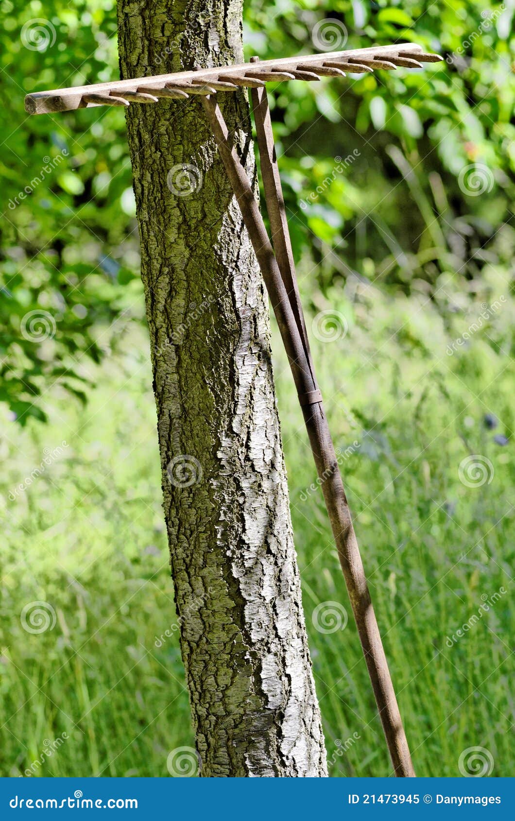 Wooden rake stock image. Image of gardening, tree, grass - 21473945