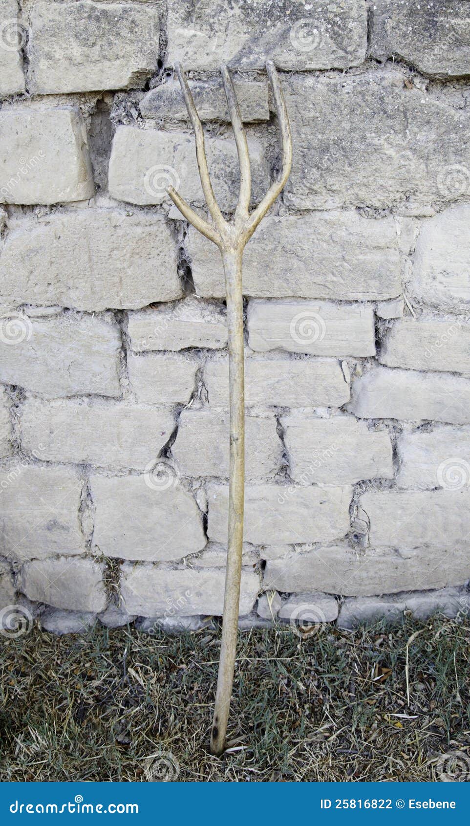 Wooden rake stock photo. Image of rural, painting, locking - 25816822