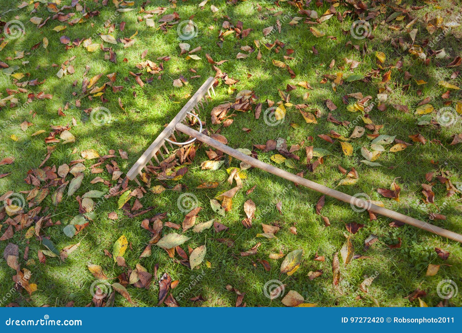 Wooden Rake and Autumn Leaves Stock Photo - Image of collection, fall ...