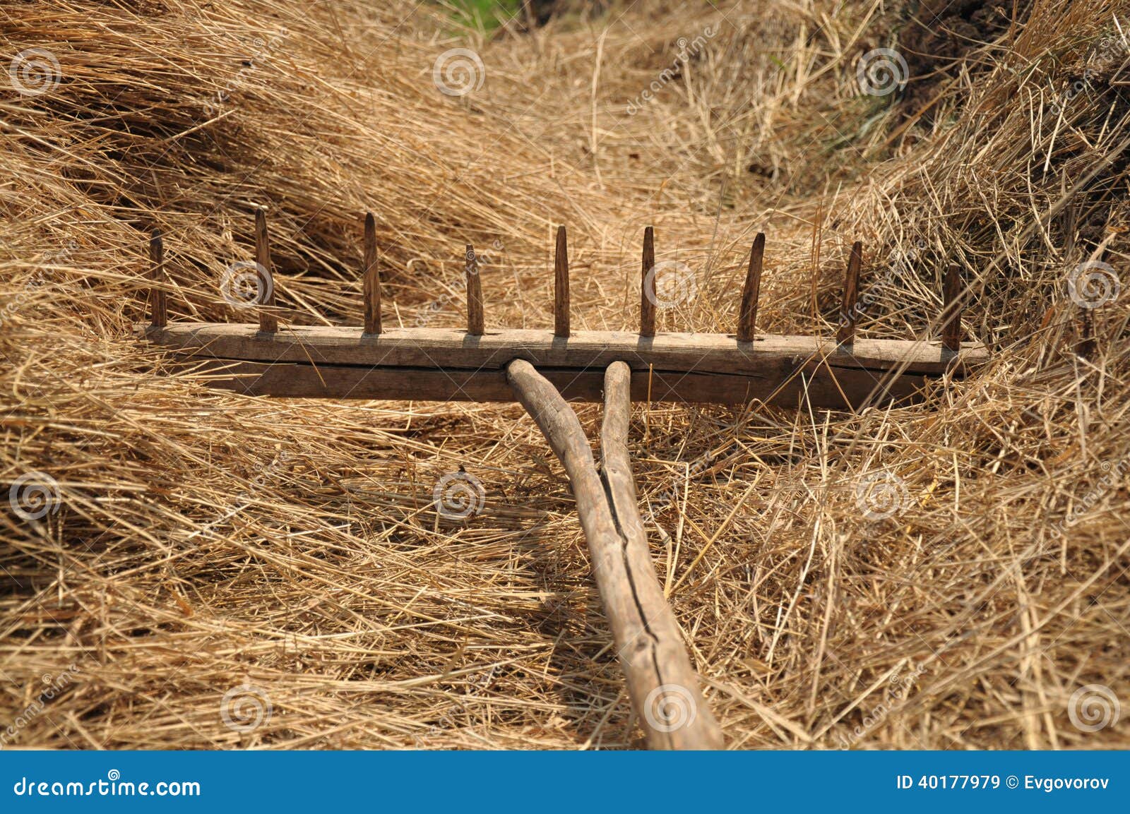 Wooden rake for hay stock image. Image of meadow, tool - 40177979