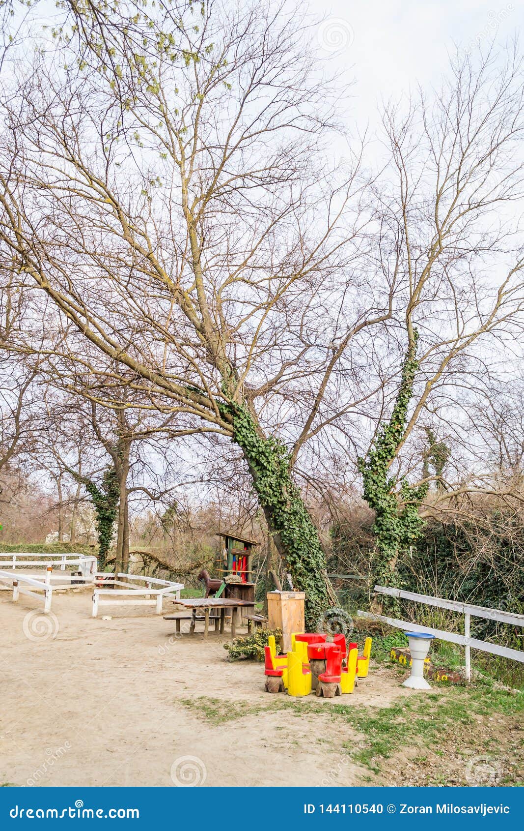 Wooden Benches and Table Under a Tree Stock Photo - Image of facade ...