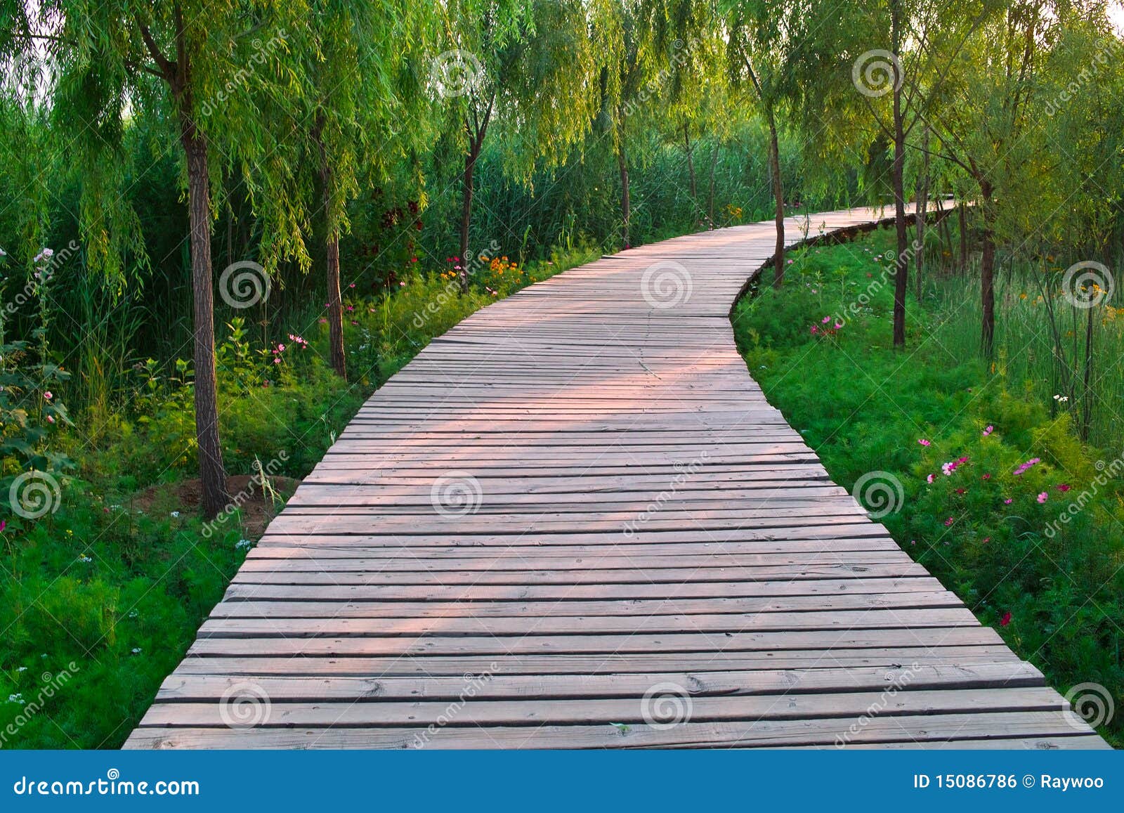 Wooden road stock photo. Image of colorful, scene, path - 15086786