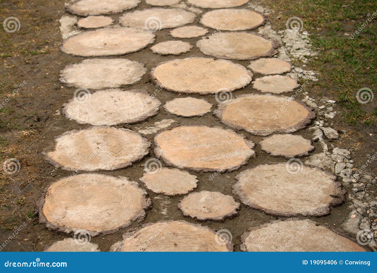 Wooden road. stock photo. Image of road, texture, slice - 19095406