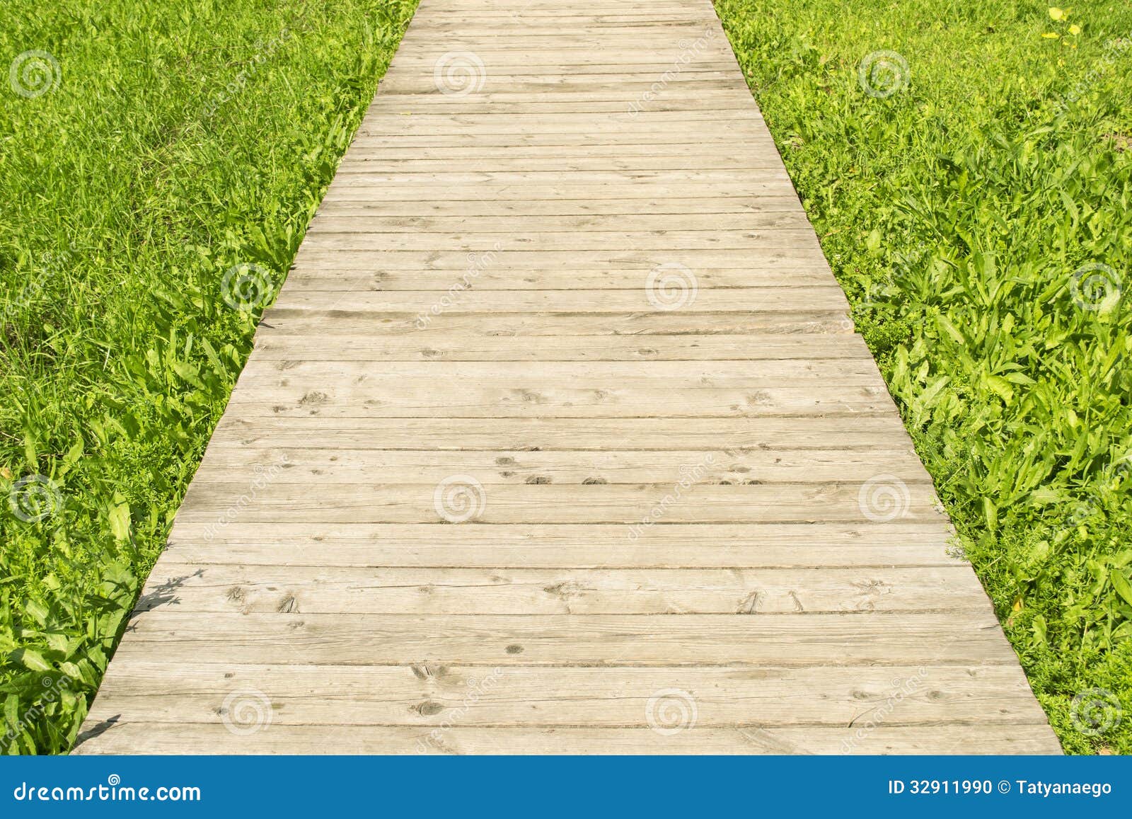 Wooden road through grass stock photo. Image of path - 32911990