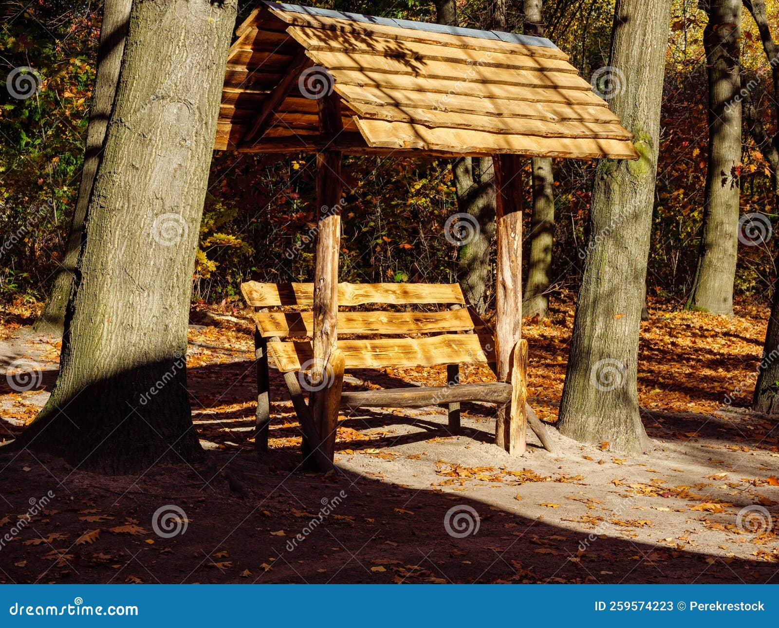Wooden Roofed Bench among Autumn Tree Trunks Stock Image - Image of ...