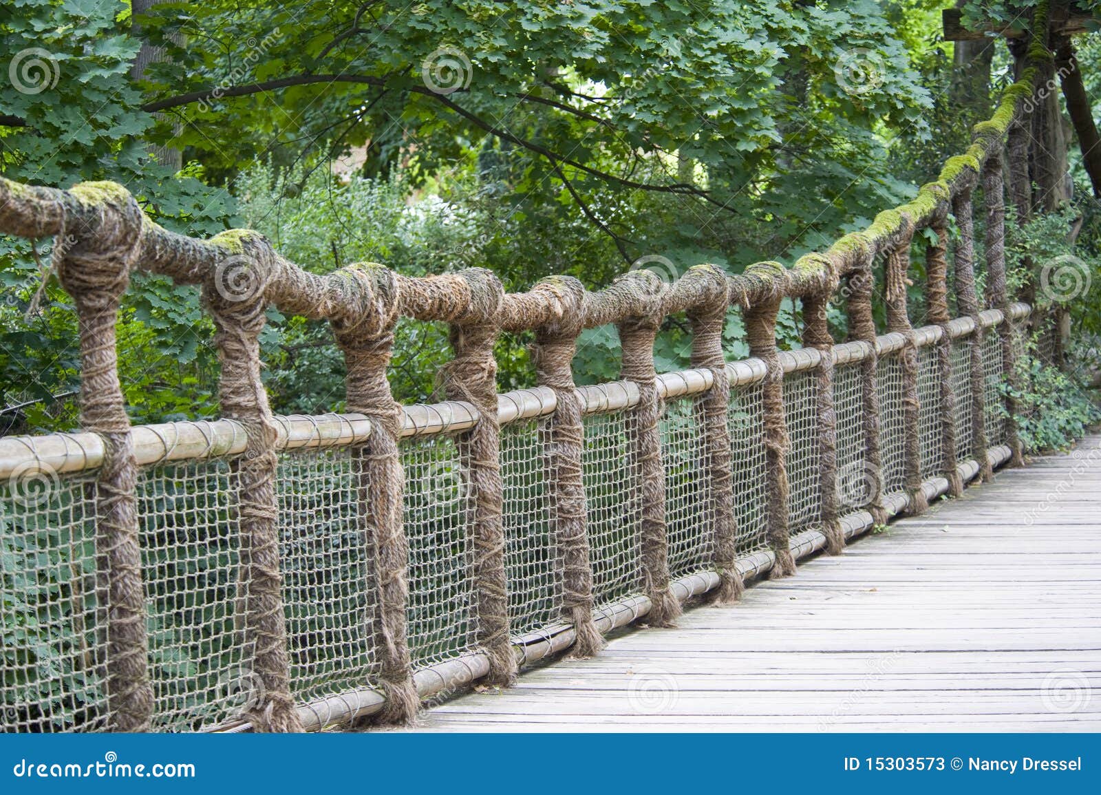 Wooden rope bridge stock image. Image of perspective - 15303573