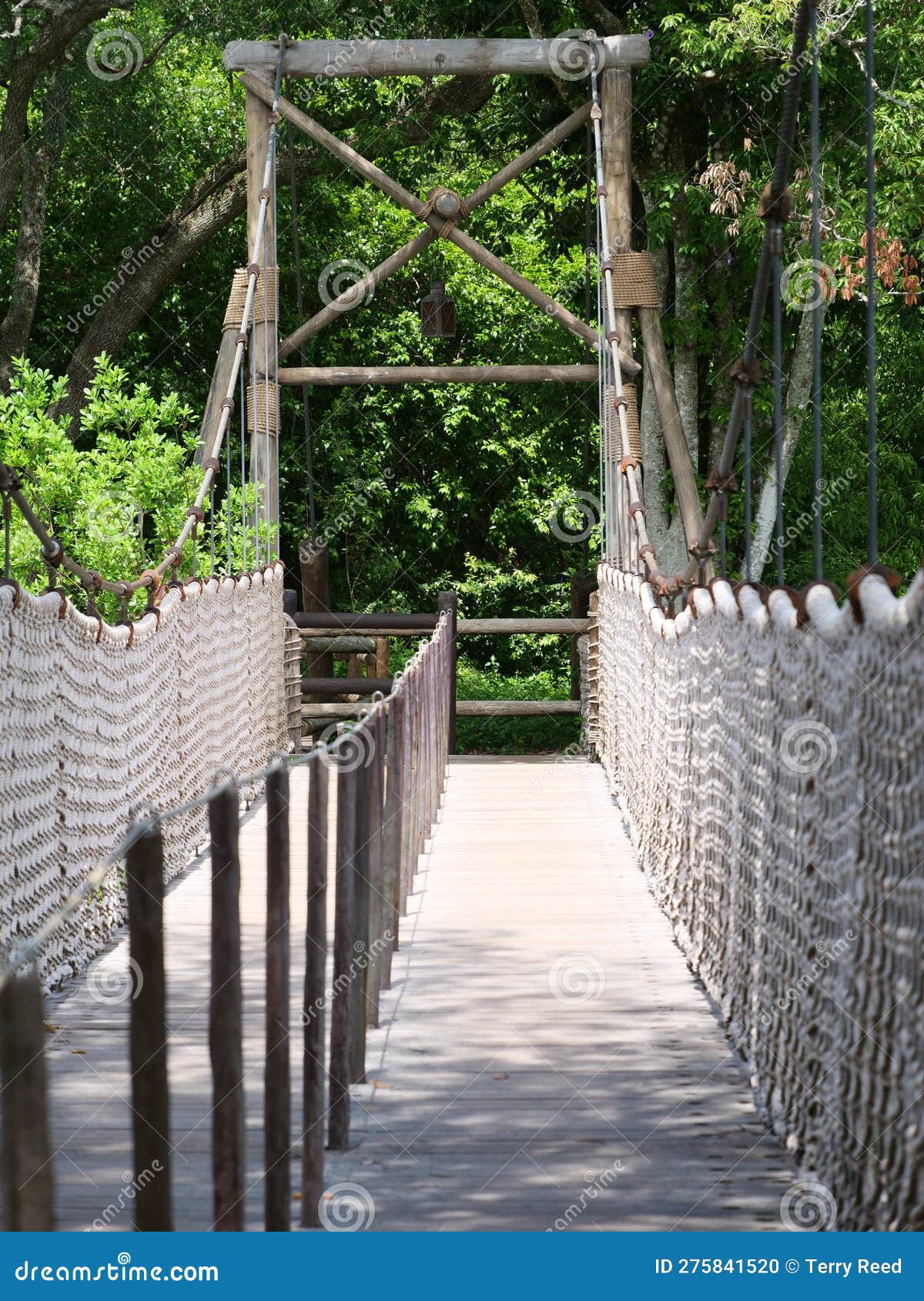 A Wooden and Rope Bridge Crossing Over a River Stock Photo - Image of ...