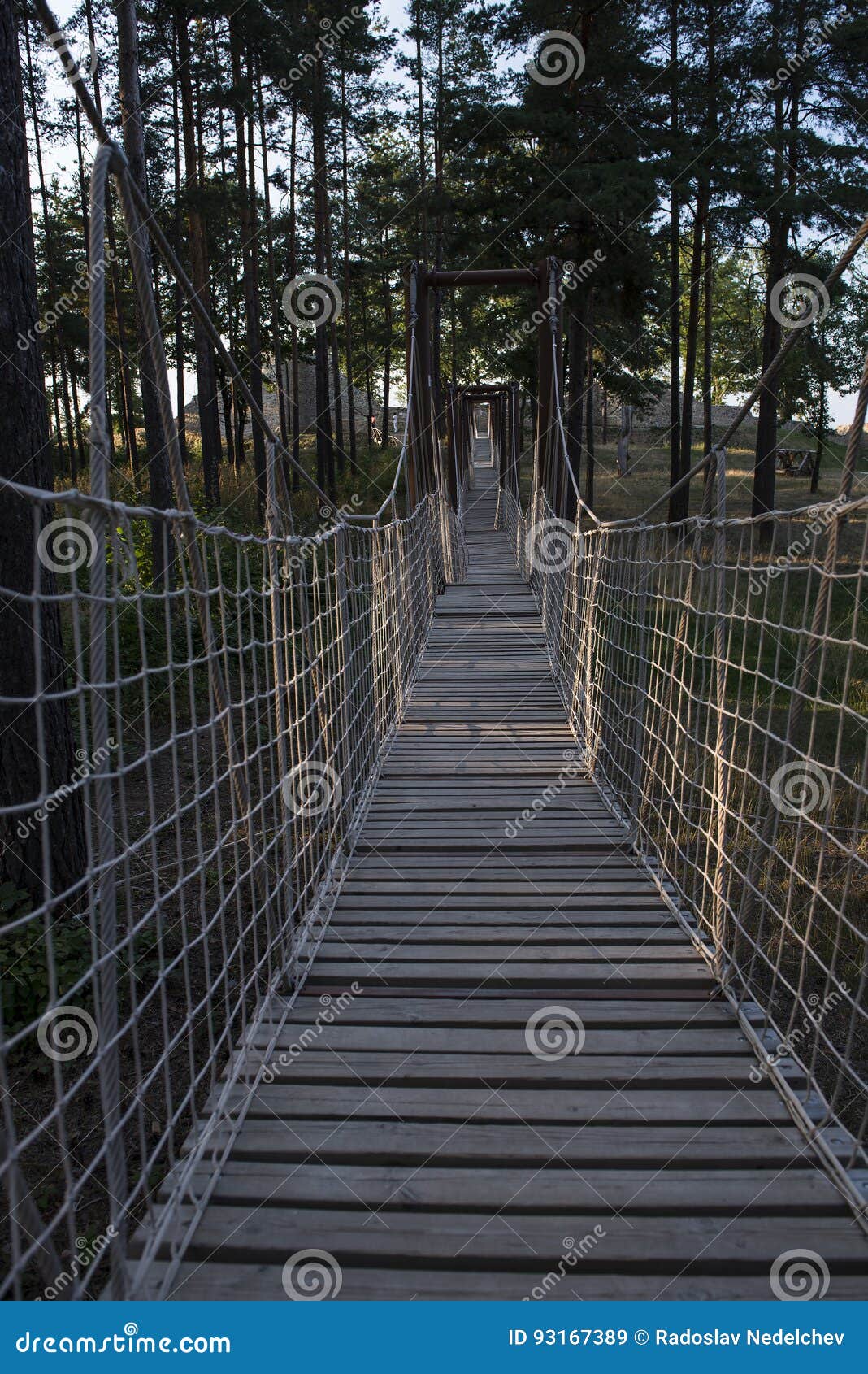 Wooden rope bridge stock image. Image of outdoor, forest - 93167389