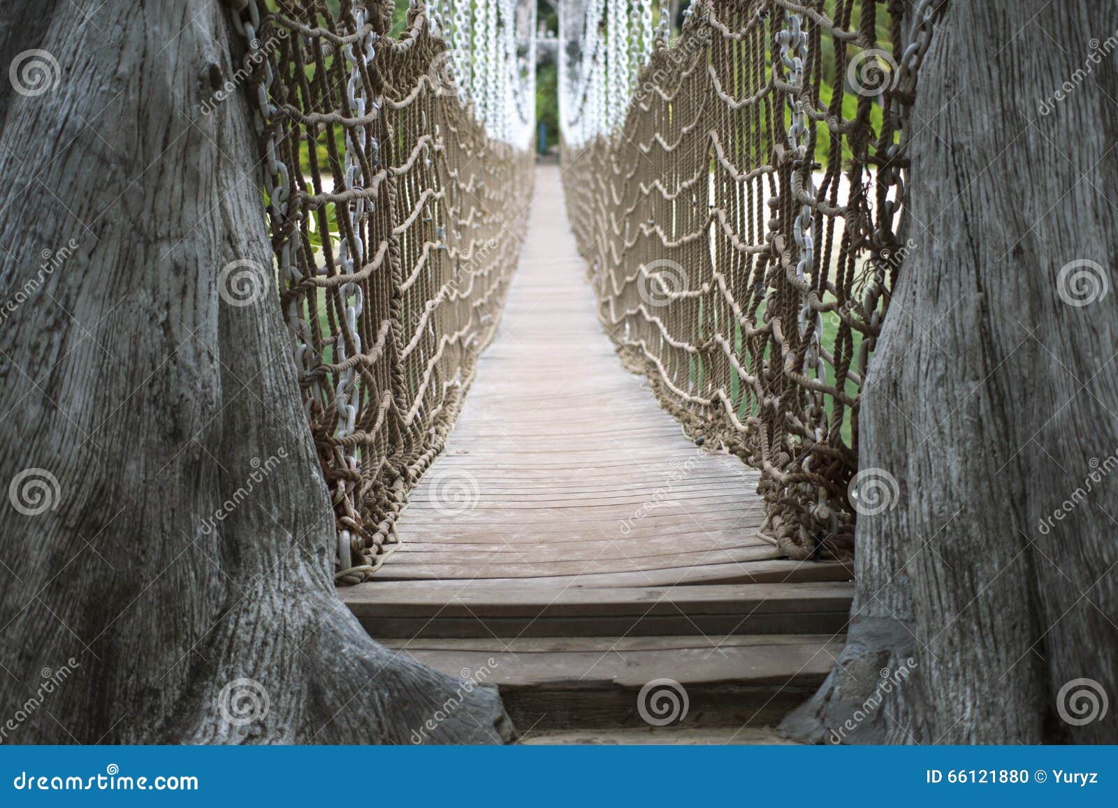Wooden rope bridge stock photo. Image of front, mystery - 66121880