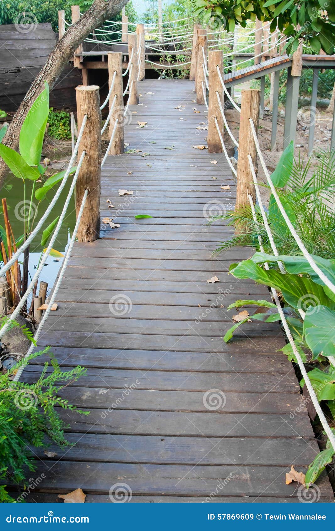 Wooden rope jungle bridge stock image. Image of wood - 57869609