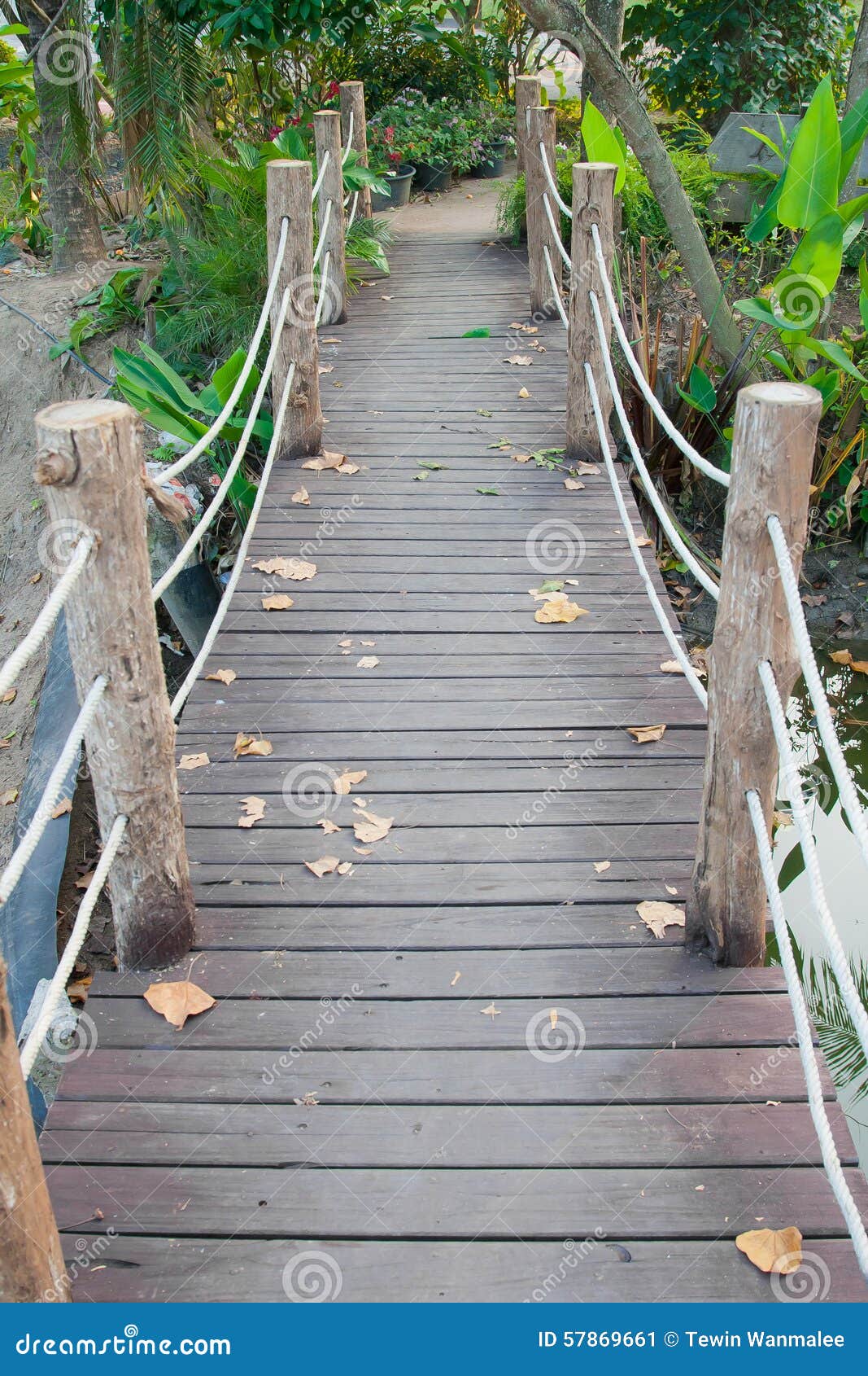 Wooden rope jungle bridge stock image. Image of bush - 57869661