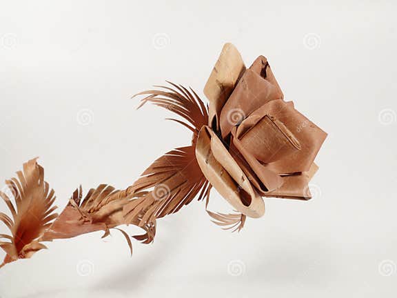 Wooden Rose stock photo. Image of wooden, decorative, petals - 3412650