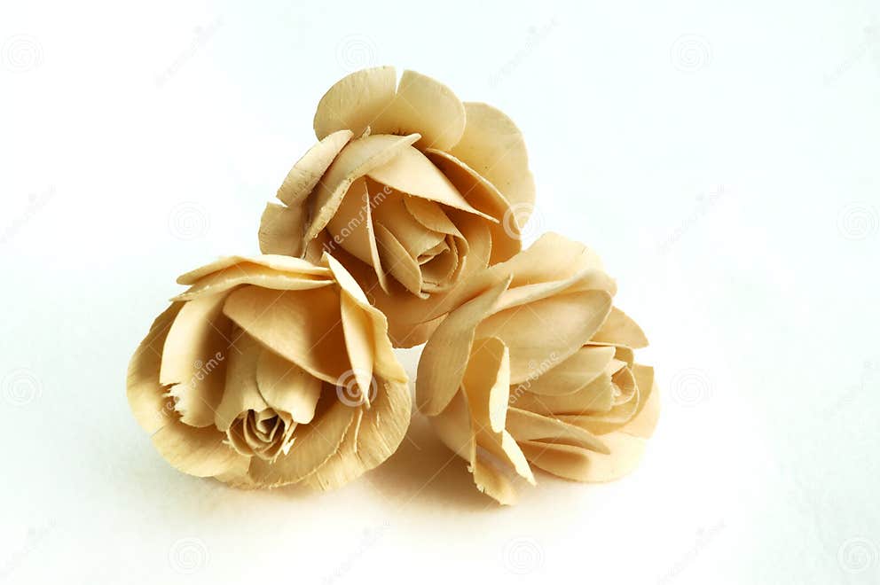 Wooden roses stock photo. Image of wood, white, flower - 1285366