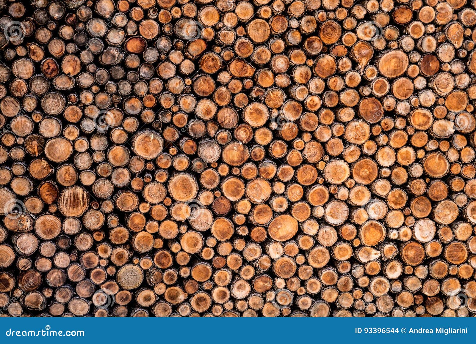 Wooden Round Pattern and Texture with Trunks Stock Photo - Image of ...