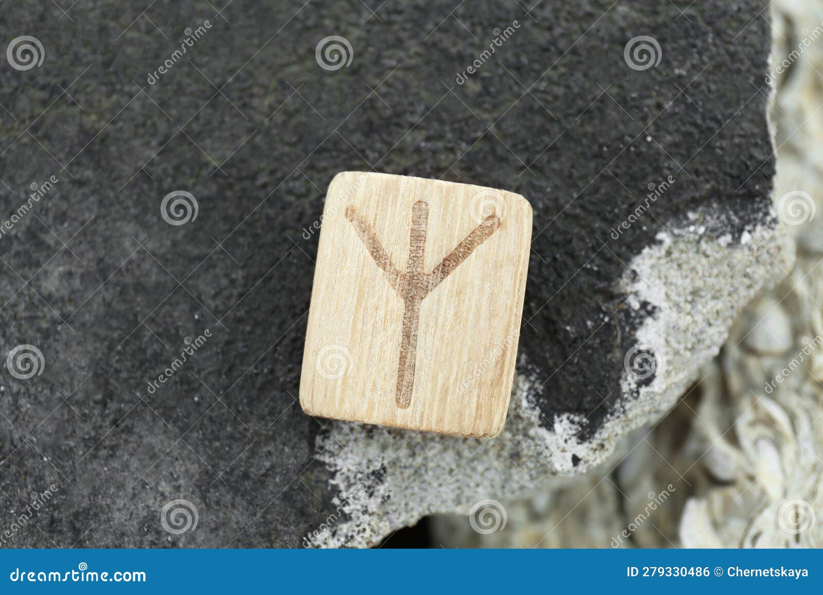 Algiz Nordic Stone Rune On Animal Fur. Letter Eolh Of The Viking ...