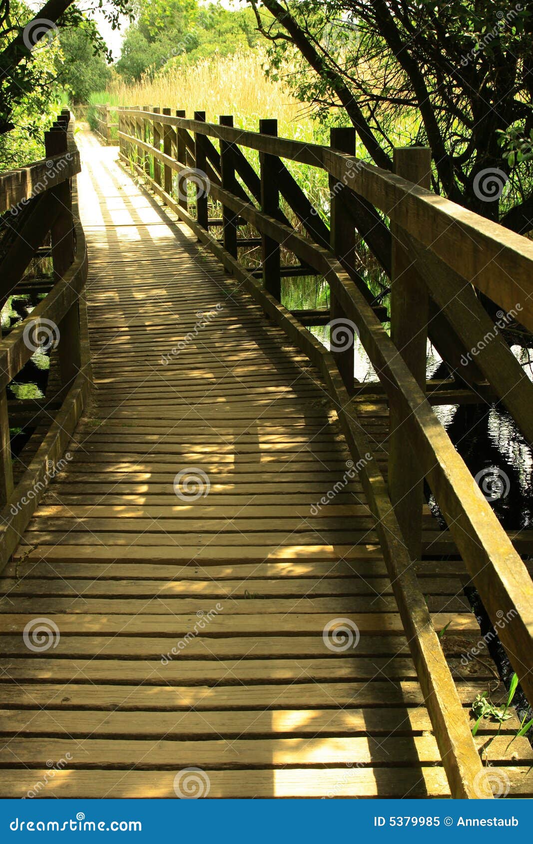 Wooden rural pathway stock image. Image of wooded, fence - 5379985