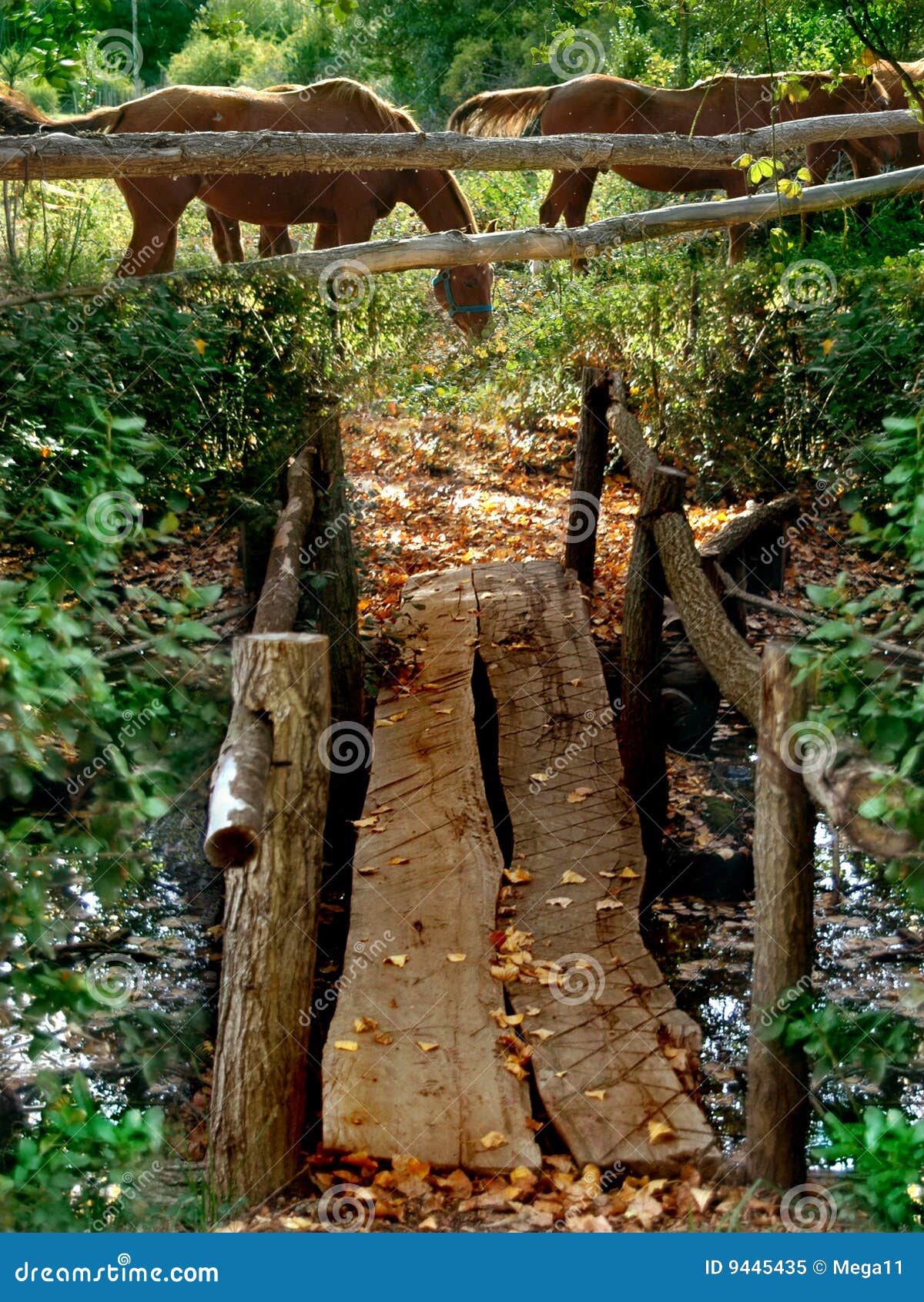 Wooden rustic bridge stock image. Image of fairy, fantastic - 9445435