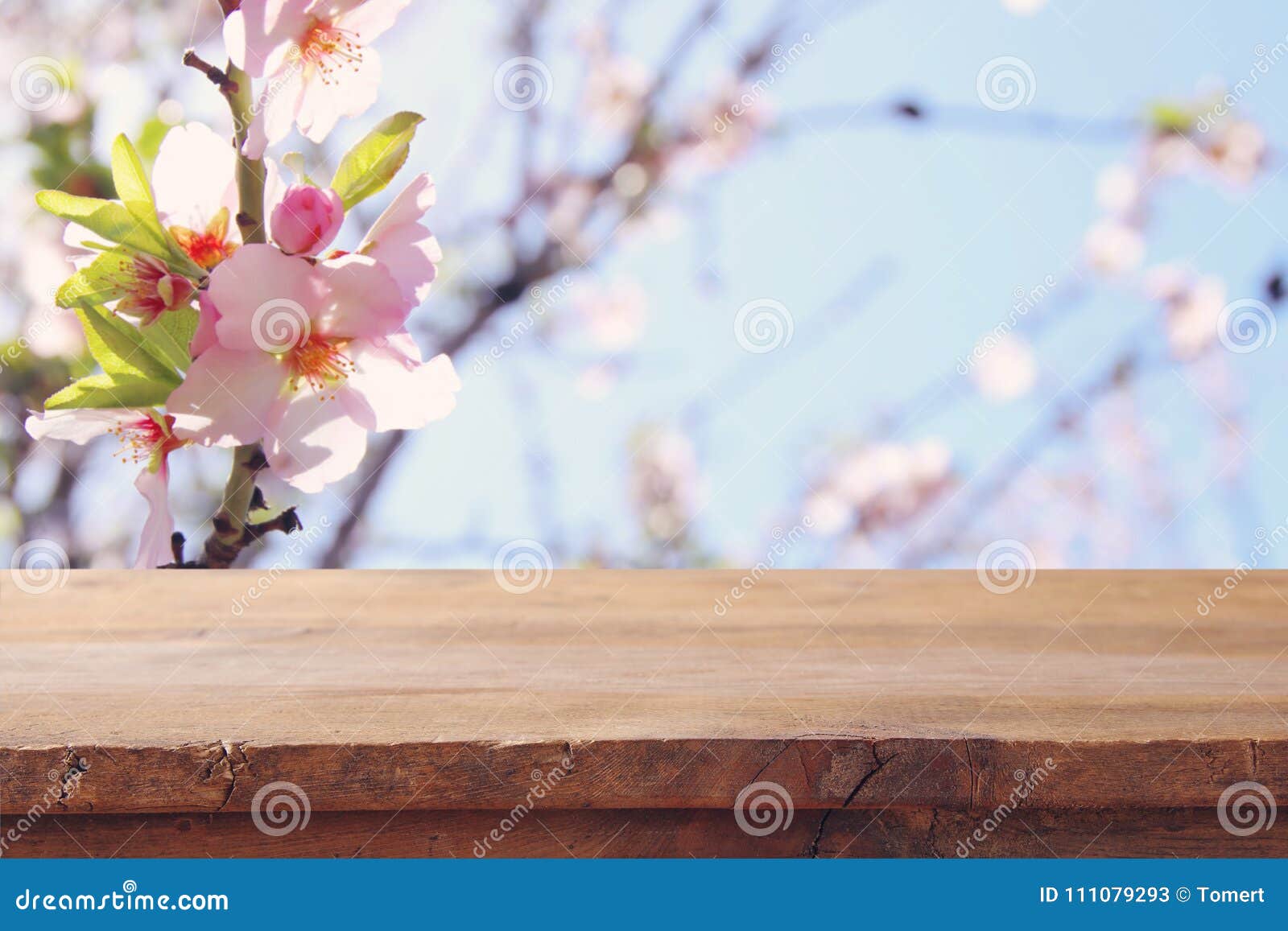 Wooden Rustic Table in Front of Spring Cherry Blossoms Tree. Product ...