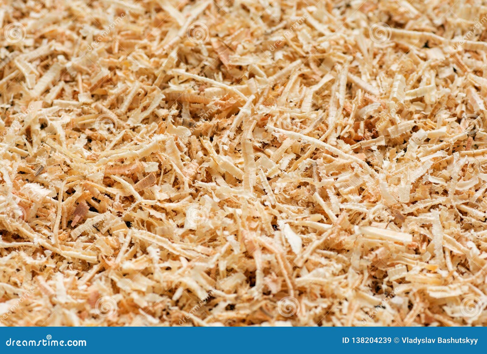 Wooden Sawdust Texture Close Up. Abstract Background. Stock Image ...