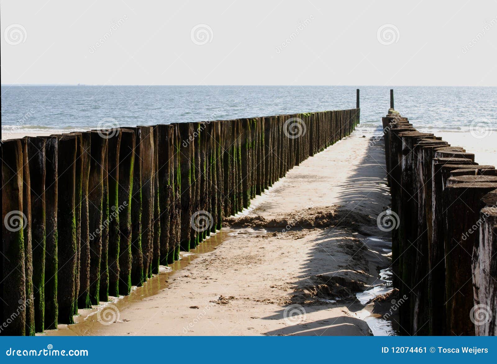Wooden sea breakers stock image. Image of pole, tide - 12074461