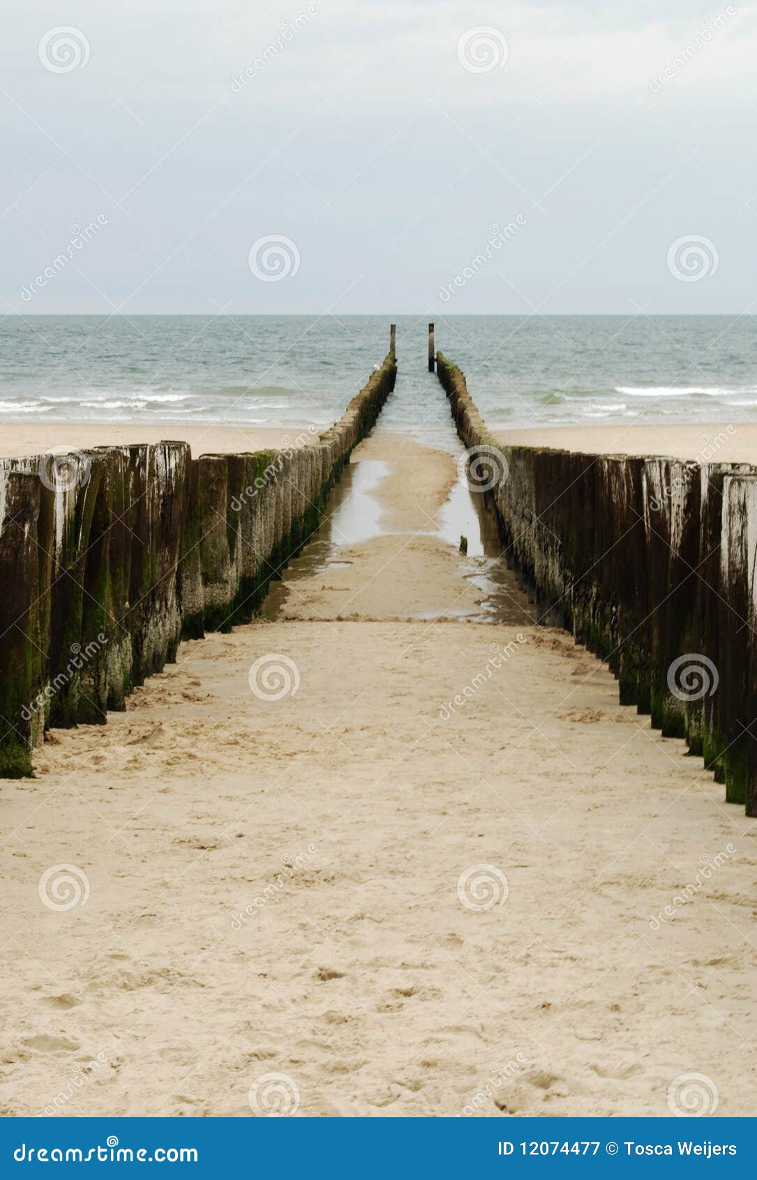 Wooden sea breakers stock image. Image of sand, northsea - 12074477