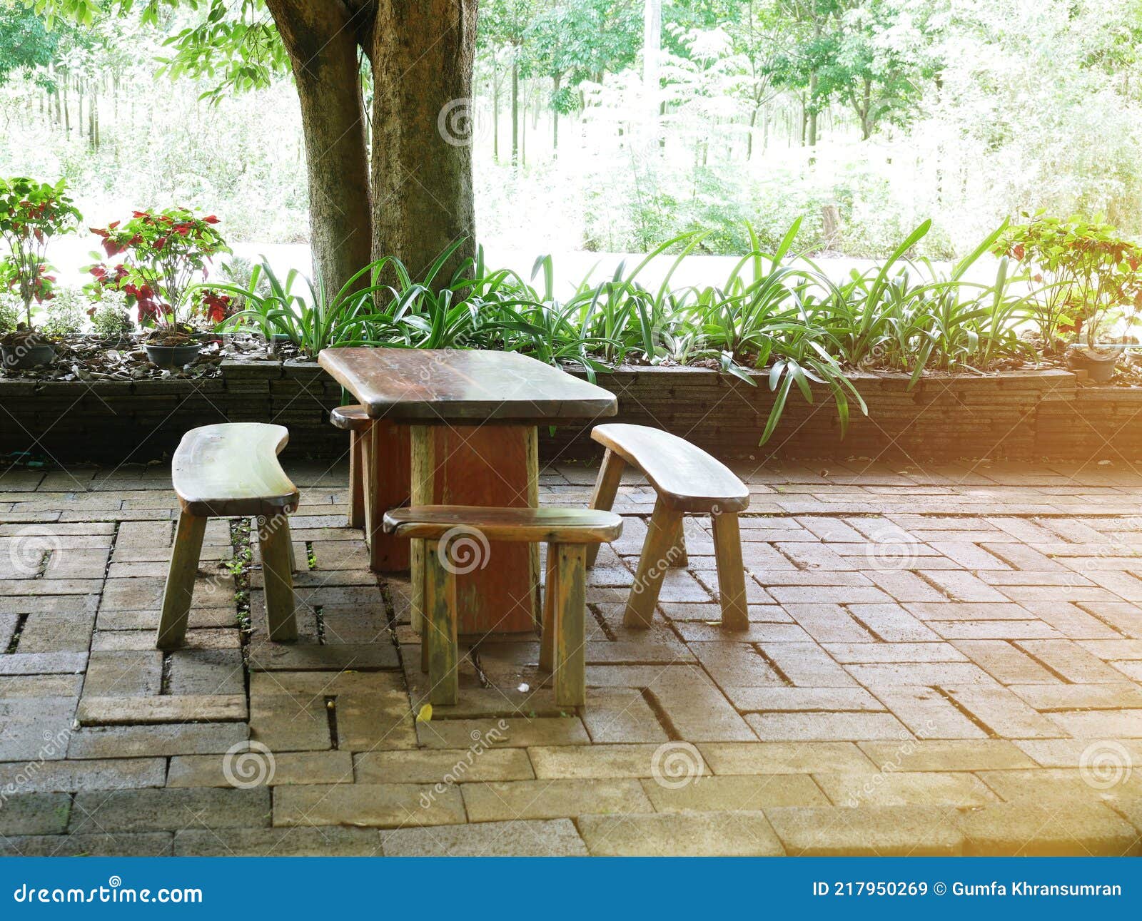 A Wooden Seat Under the Shade of a Tree in the Park Stock Image - Image ...