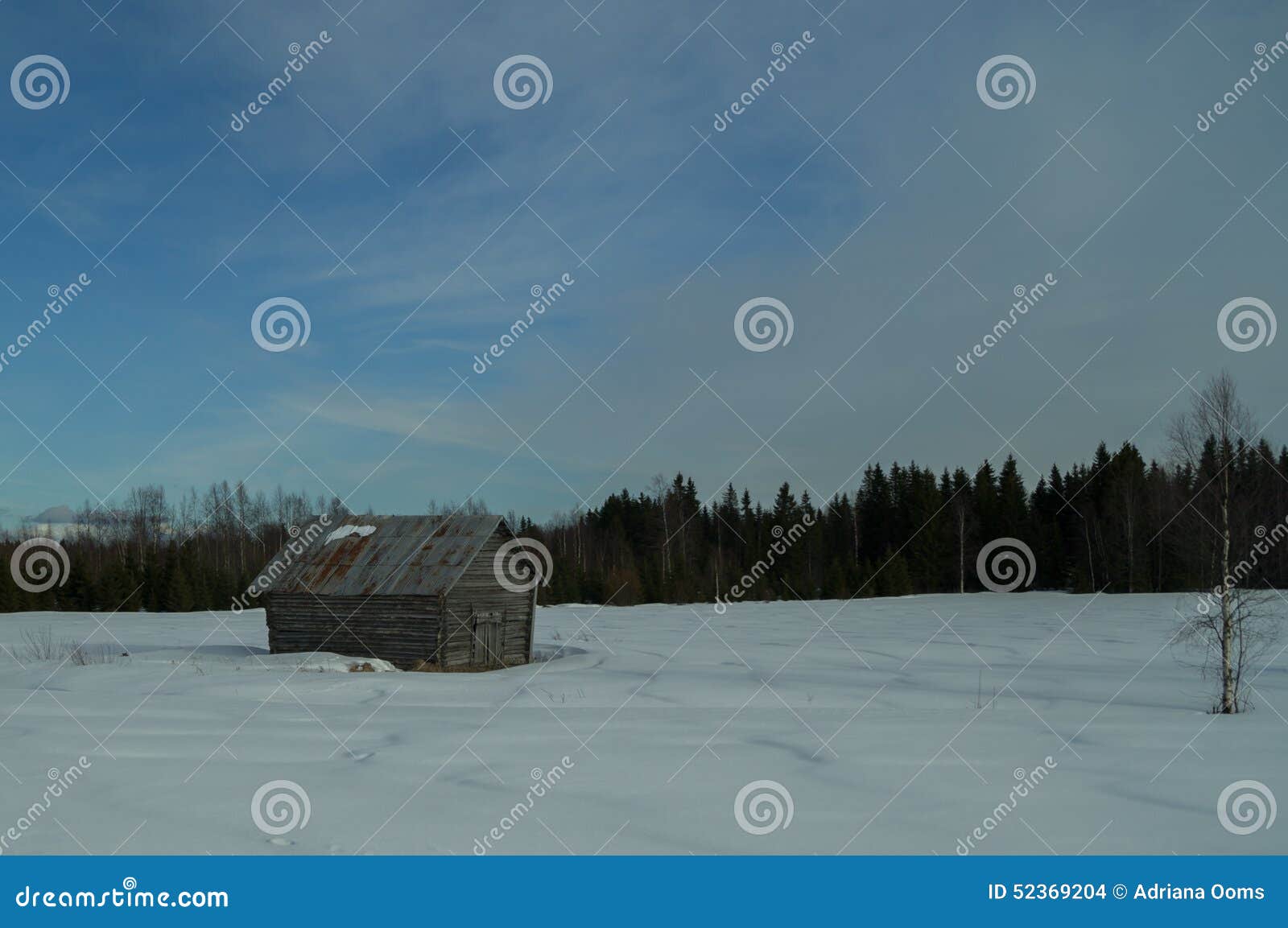 Wooden shack stock photo. Image of country, coultry, shack - 52369204
