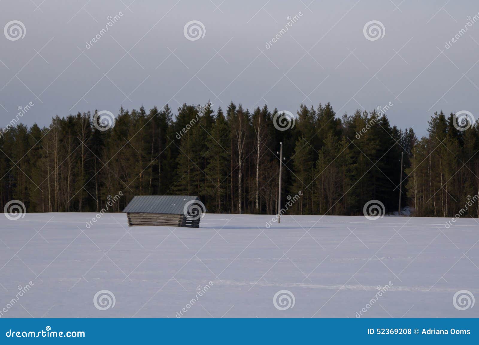 Wooden shack stock photo. Image of country, wood, rural - 52369208