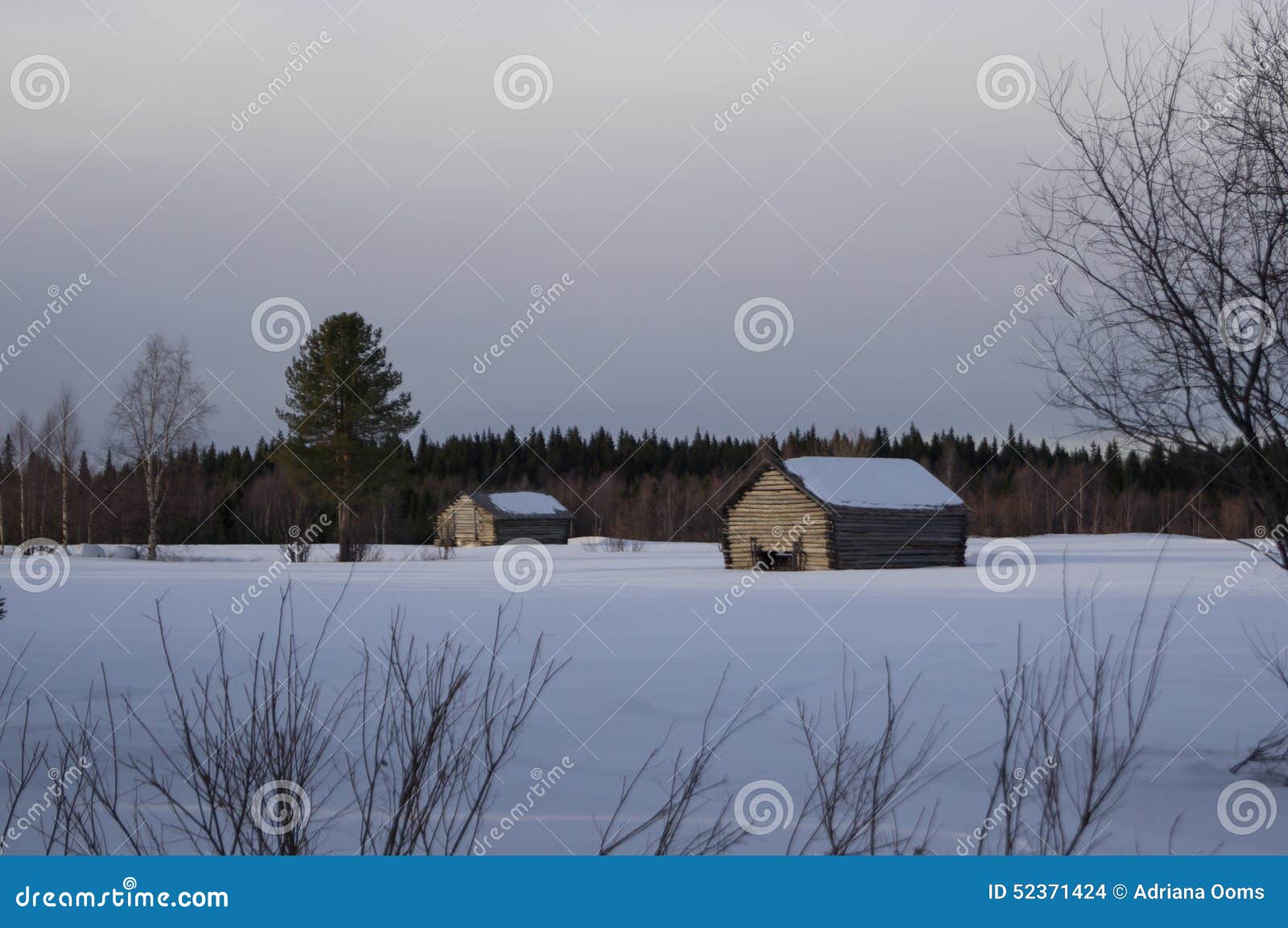 Wooden shack stock photo. Image of country, place, coultry - 52371424