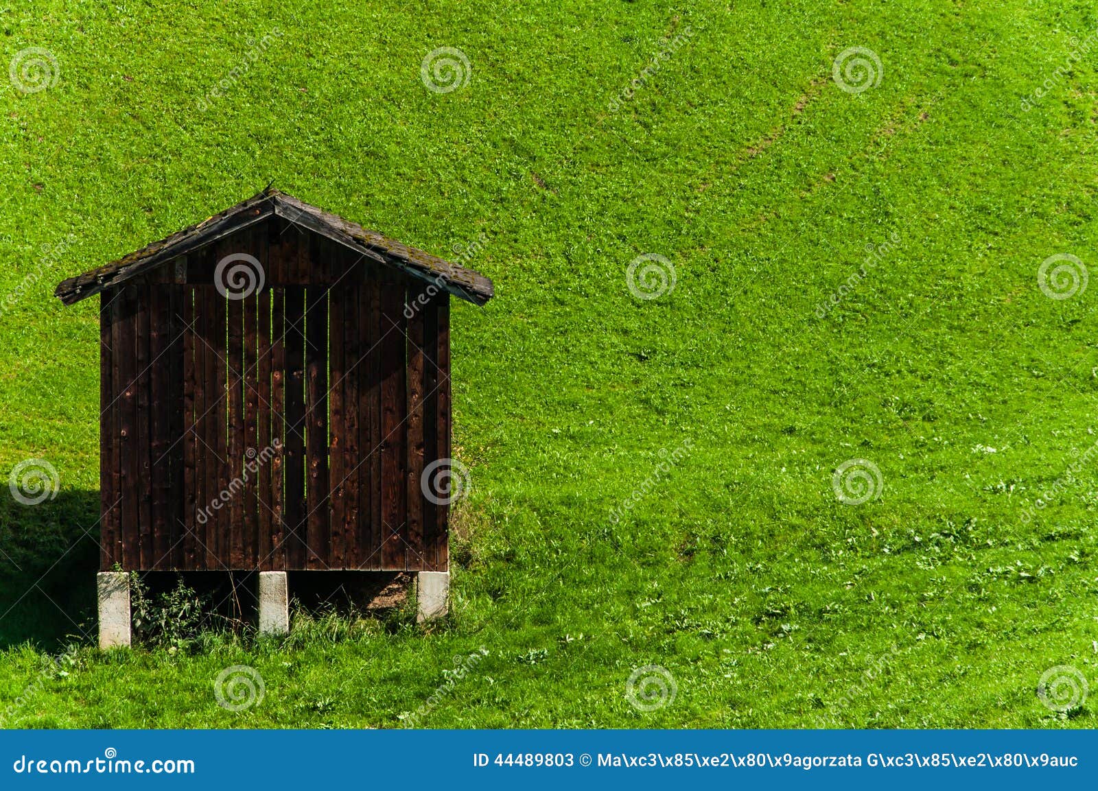Wooden shed on green grass stock image. Image of house - 44489803