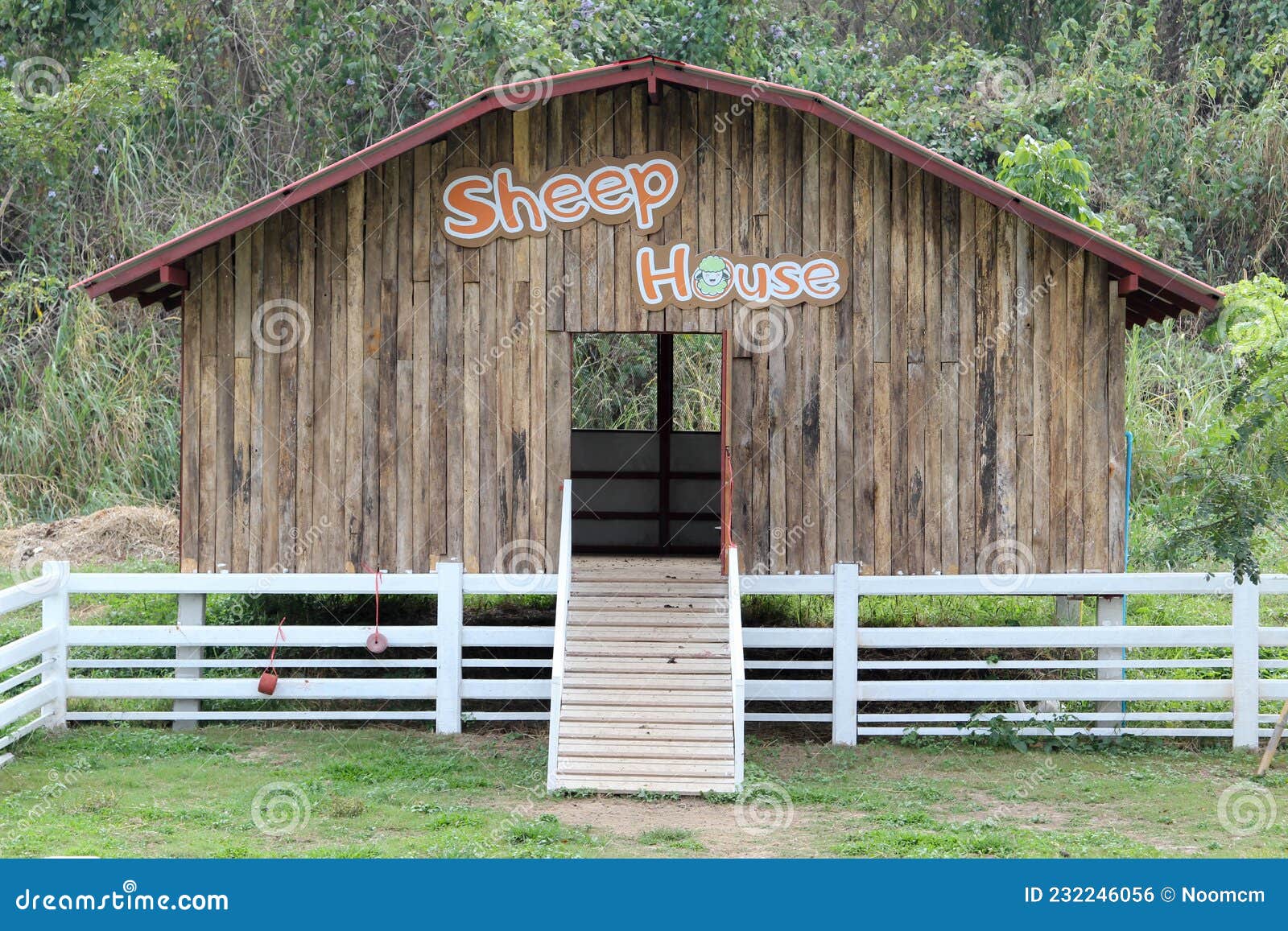 Sheep house in a farm stock photo. Image of agriculture - 232246056