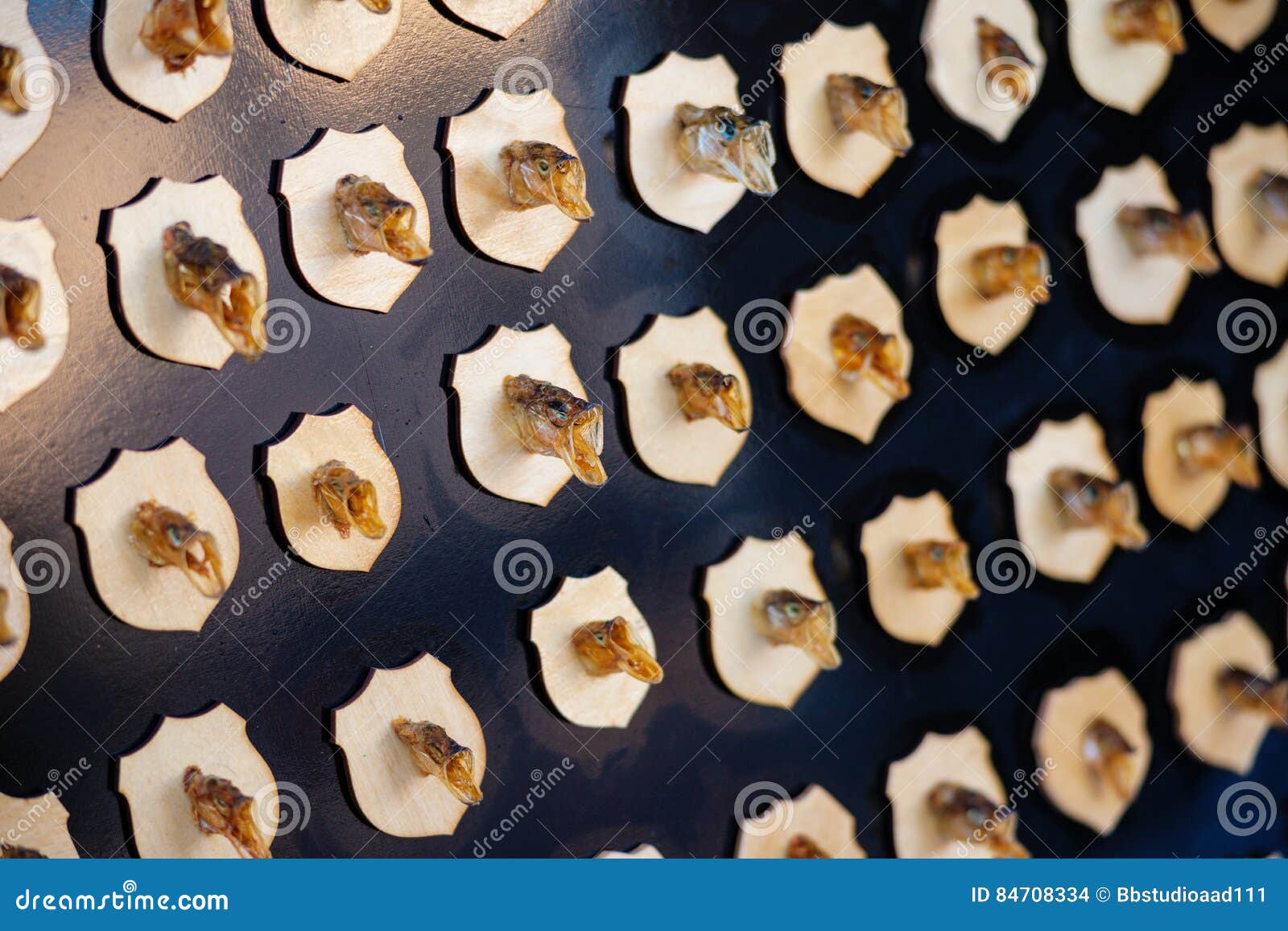 Wooden Shields with Smelt Fish Head Stock Photo - Image of fishing ...