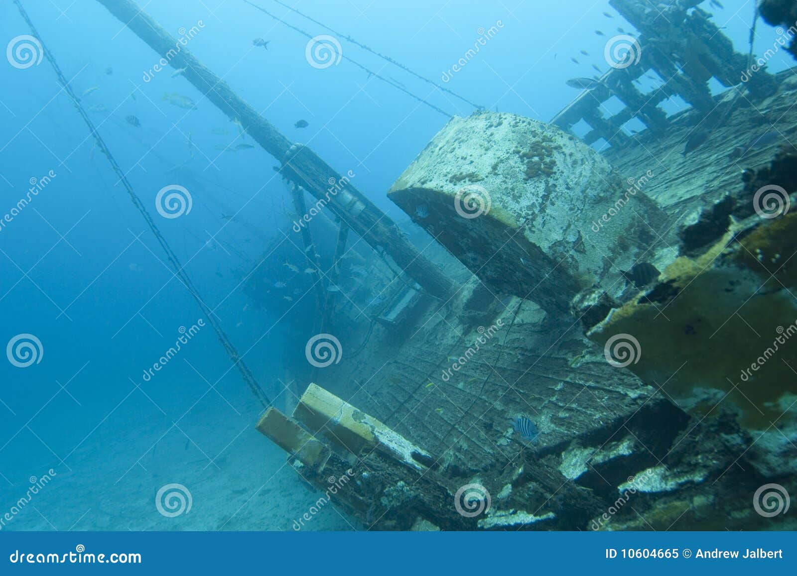 Wooden Shipwreck stock image. Image of bonaire, ship - 10604665
