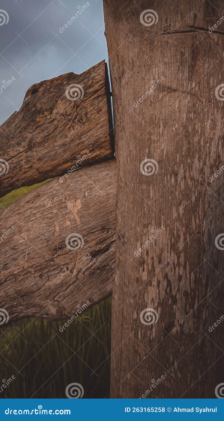 Wooden Shot from Eye Level Angle Stock Photo - Image of shoot ...