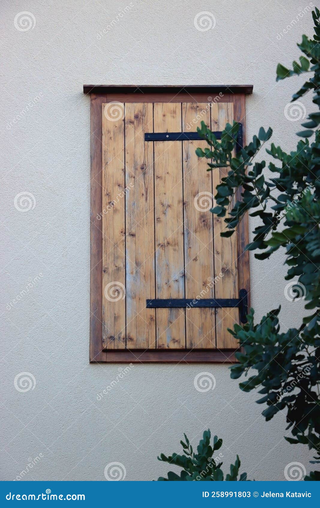Wooden Shutters and Tree Branches Stock Image - Image of bush, beige ...
